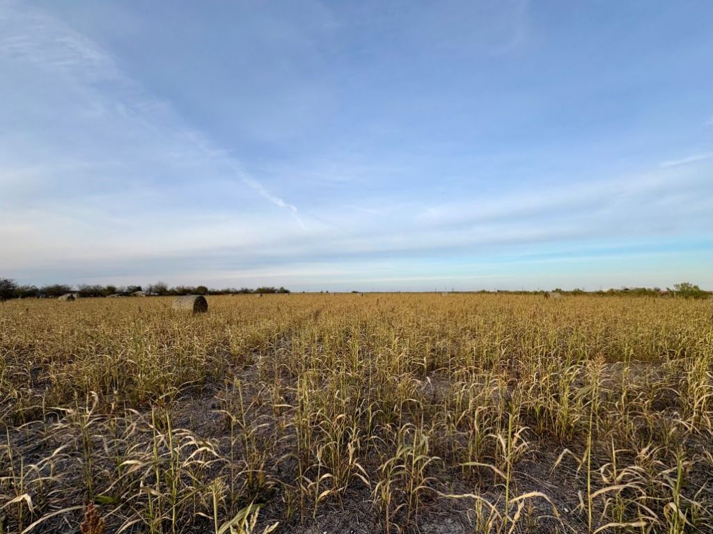 366 Co Rd 123, Buckholts, TX 76518 - MLS 4125301 - Coldwell Banker