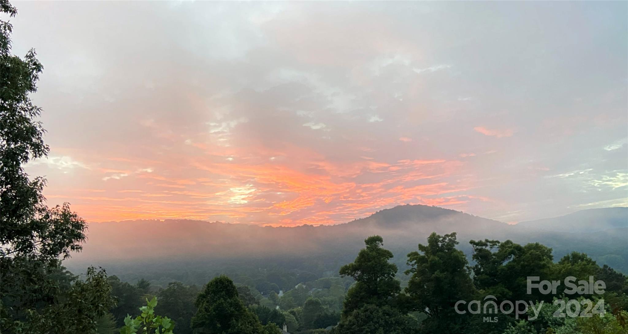 25 Huntington Chase Dr, Asheville, NC 28805 - MLS 4201375 - Coldwell Banker