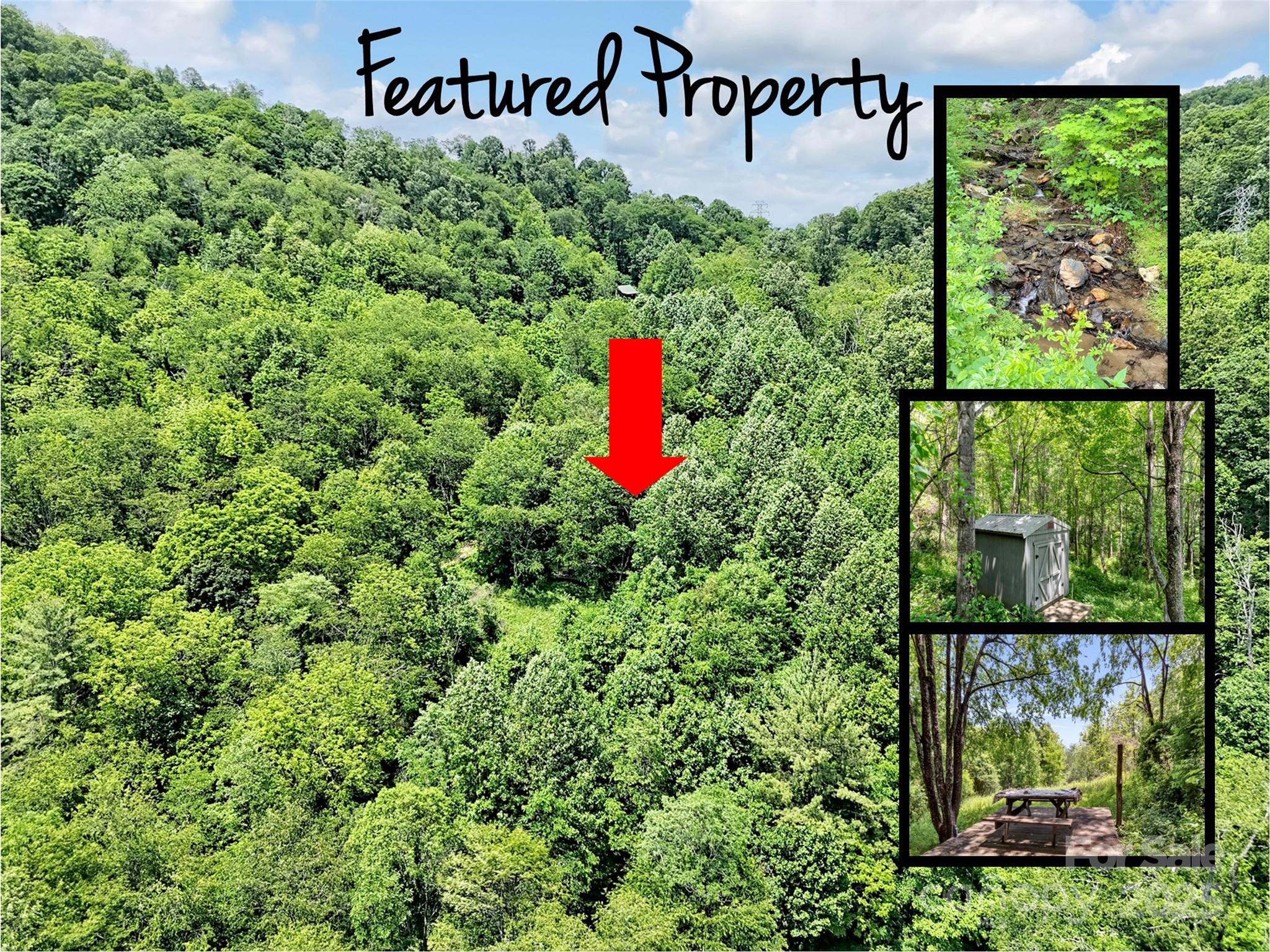 00 Mountain Glen Rd, Canton, NC 28716 - MLS 4269312 - Coldwell Banker
