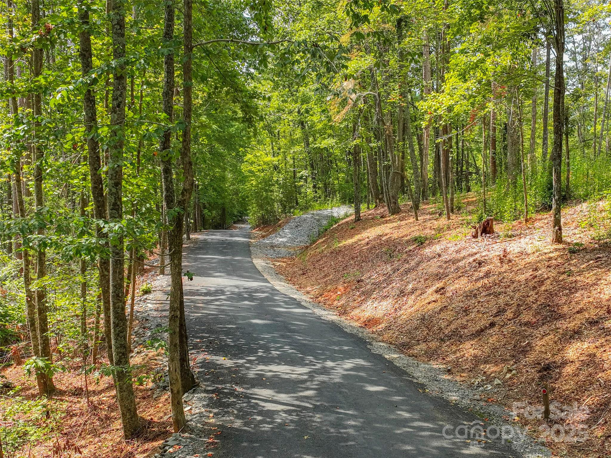00 Hidden Lake Pkwy, Dysartsville, NC 28761 - MLS 4302251 - Coldwell Banker