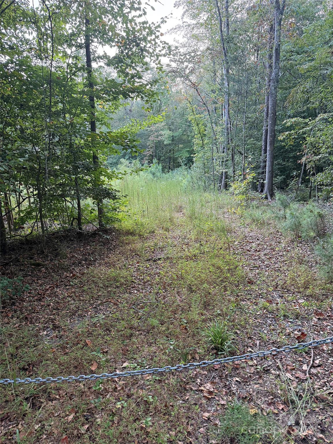 00 Riddle Mill Rd, Clover, SC 29710 - MLS 4303978 - Coldwell Banker