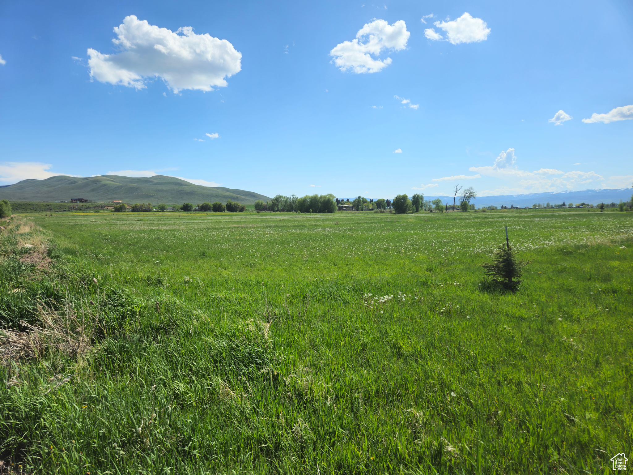 777 E 4th S, Dingle, ID 83233 - MLS 2087716 - Coldwell Banker