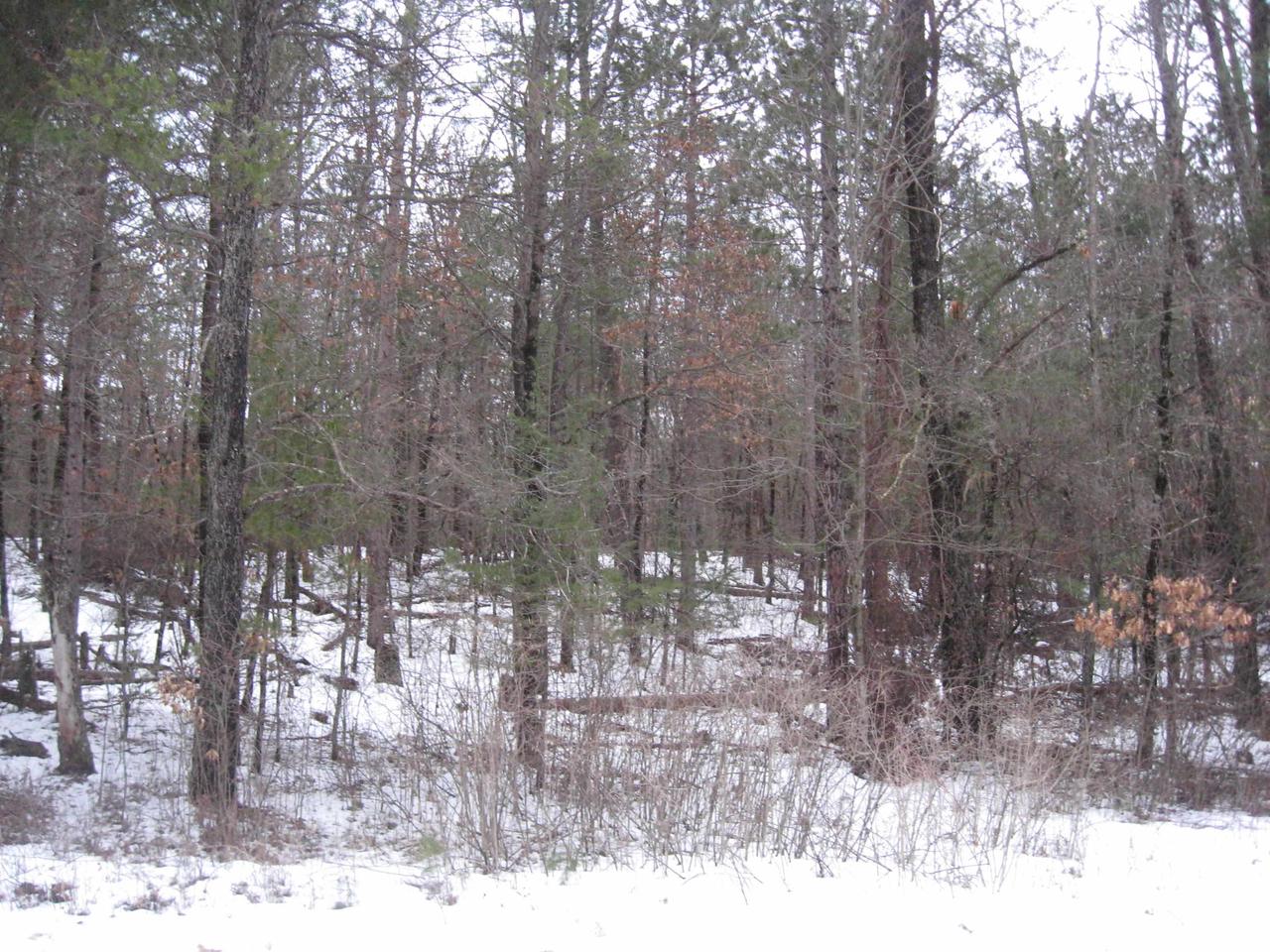 W1939 Morning Star Trail, Keshena, WI 54135 - MLS 50304872 - Coldwell ...