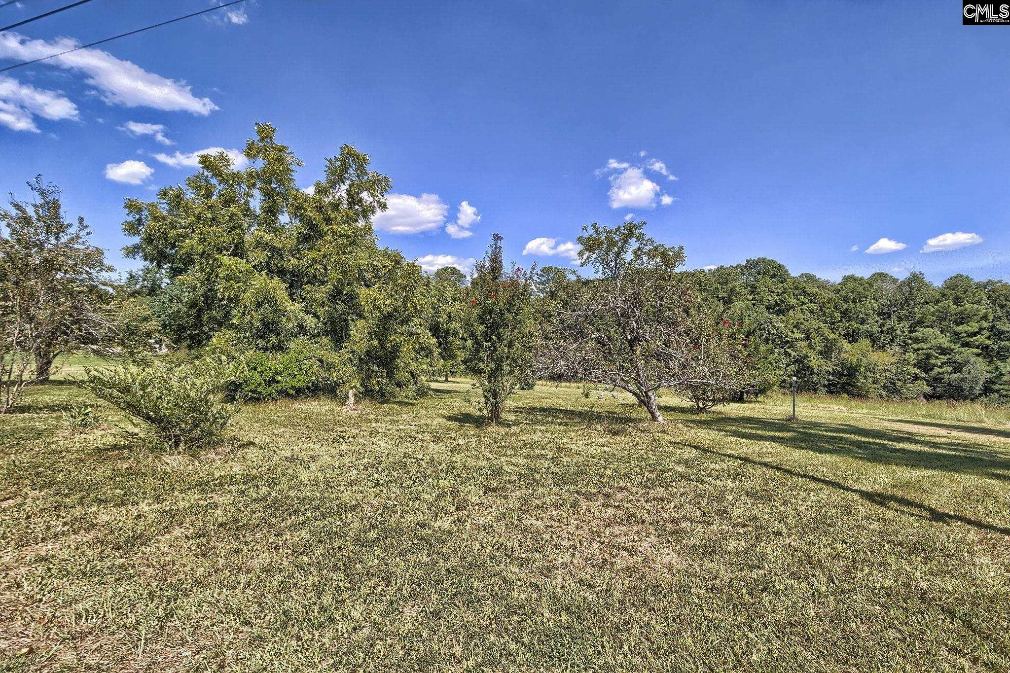 765B Murray Lindler Rd, Chapin, SC 29036 - MLS 549601 - Coldwell Banker 765B Murray Lindler Rd, Chapin, SC 29036 - MLS 549601 - Coldwell Banker