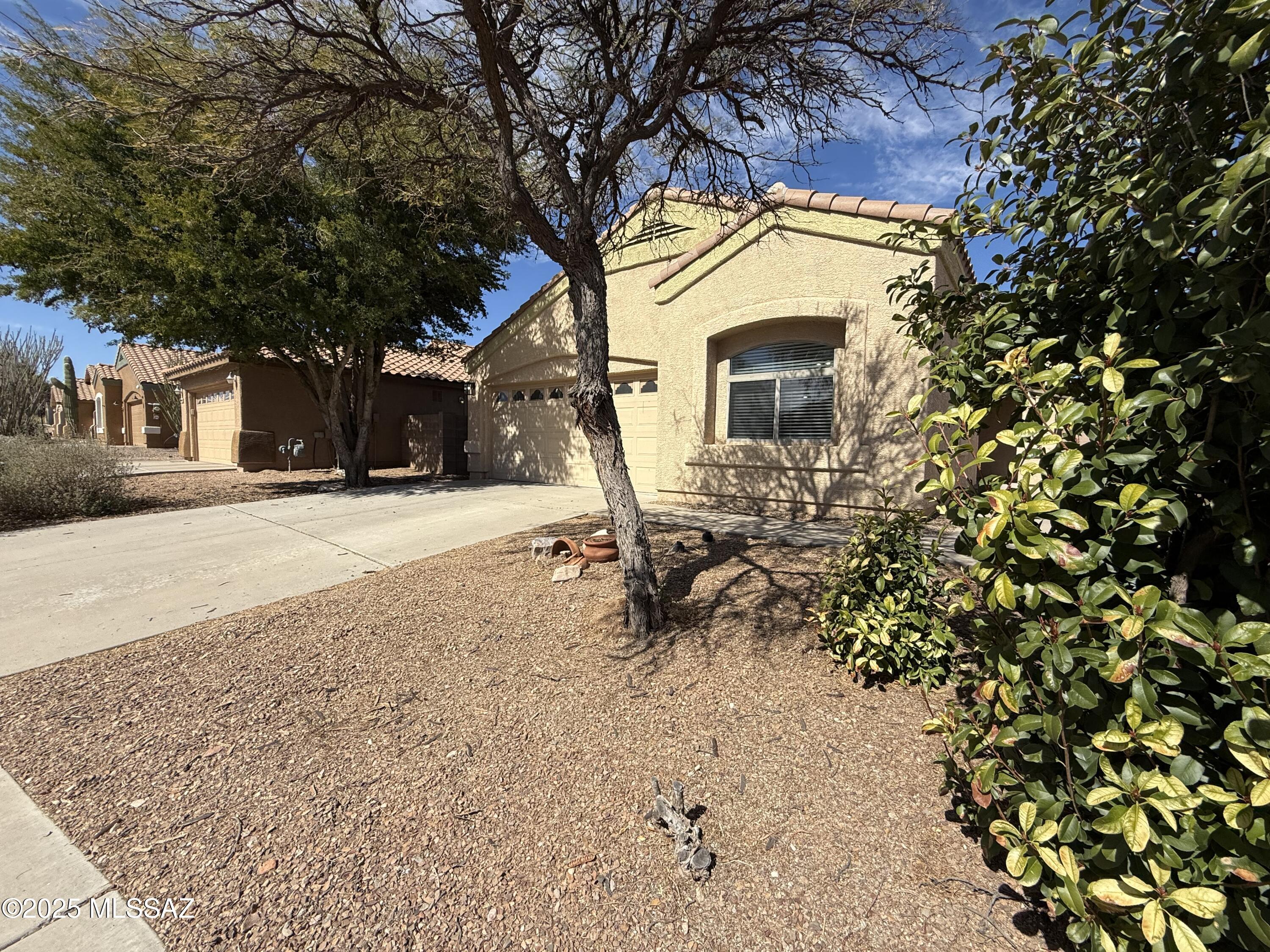 10593 Bonpland Willow Dr, Tucson, AZ 85747 - MLS 22505817 - Coldwell Banker
