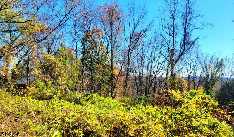 23 Fine Rd, High Bridge, NJ 08829 - MLS 3816817 - Coldwell Banker