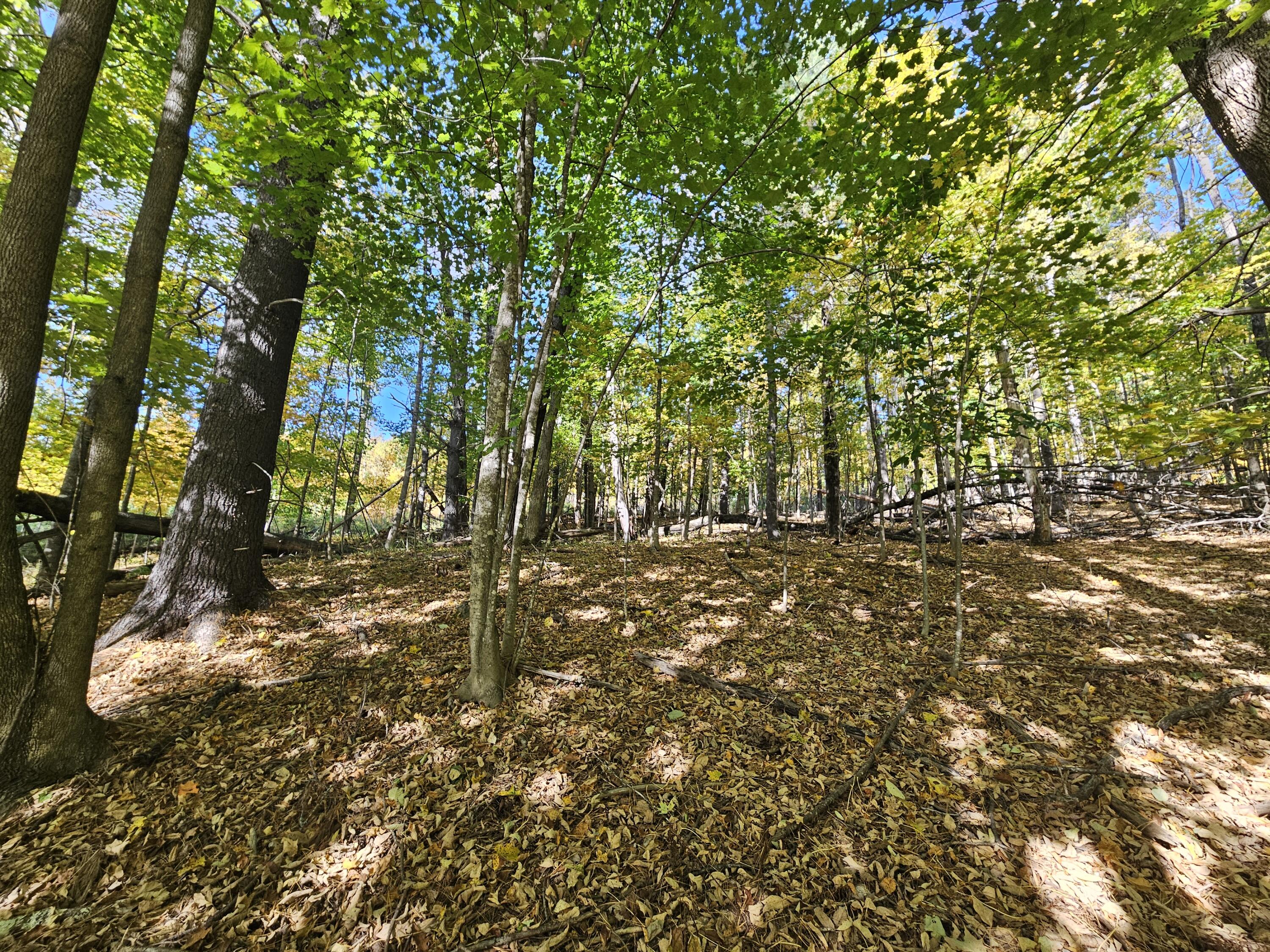 R-5 13-A Norton Hill Rd, Strong, ME 04983 - MLS 1639128 - Coldwell Banker