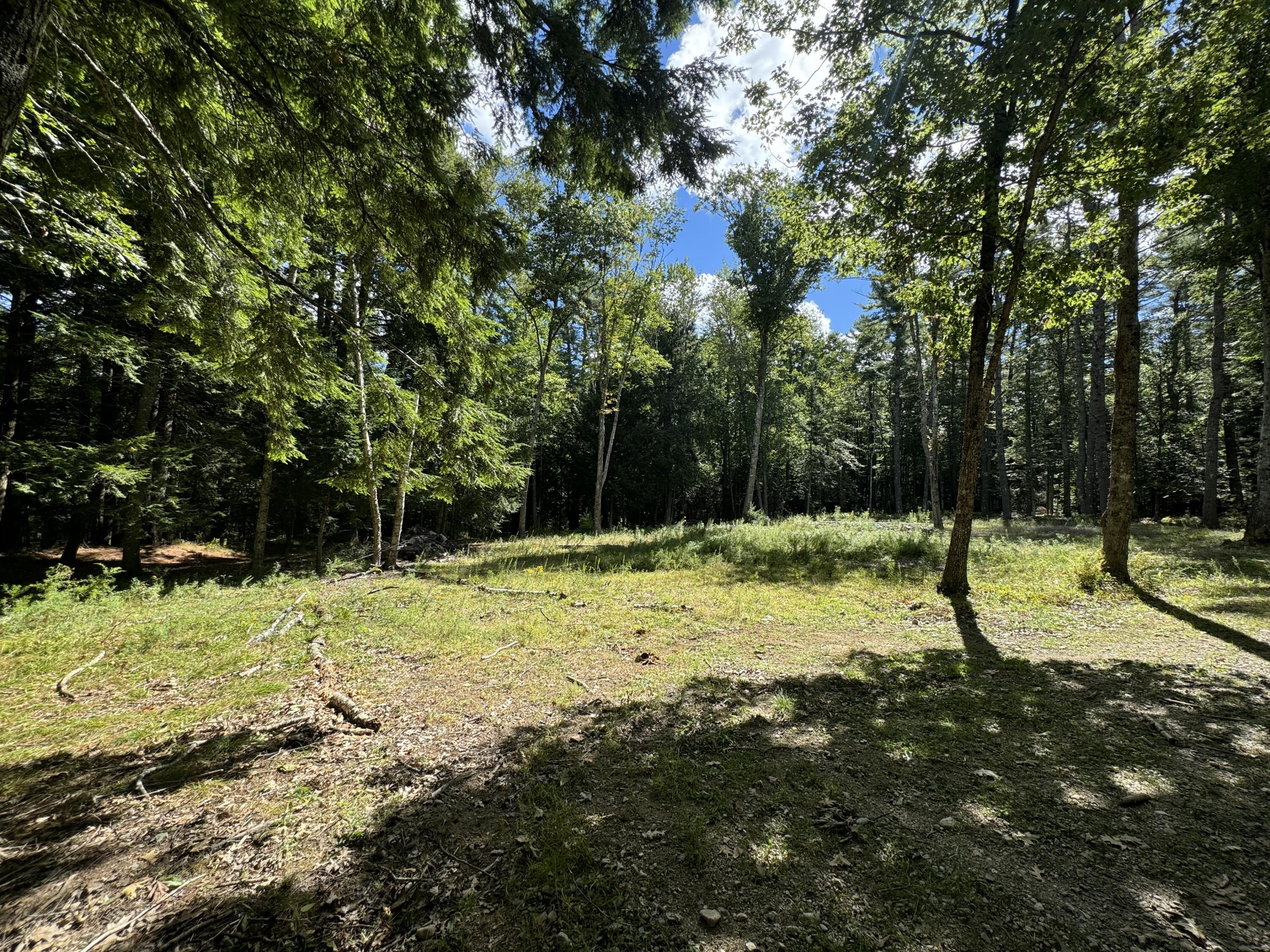 29 Elijah Ln, Orland, ME 04472 - MLS 1603299 - Coldwell Banker