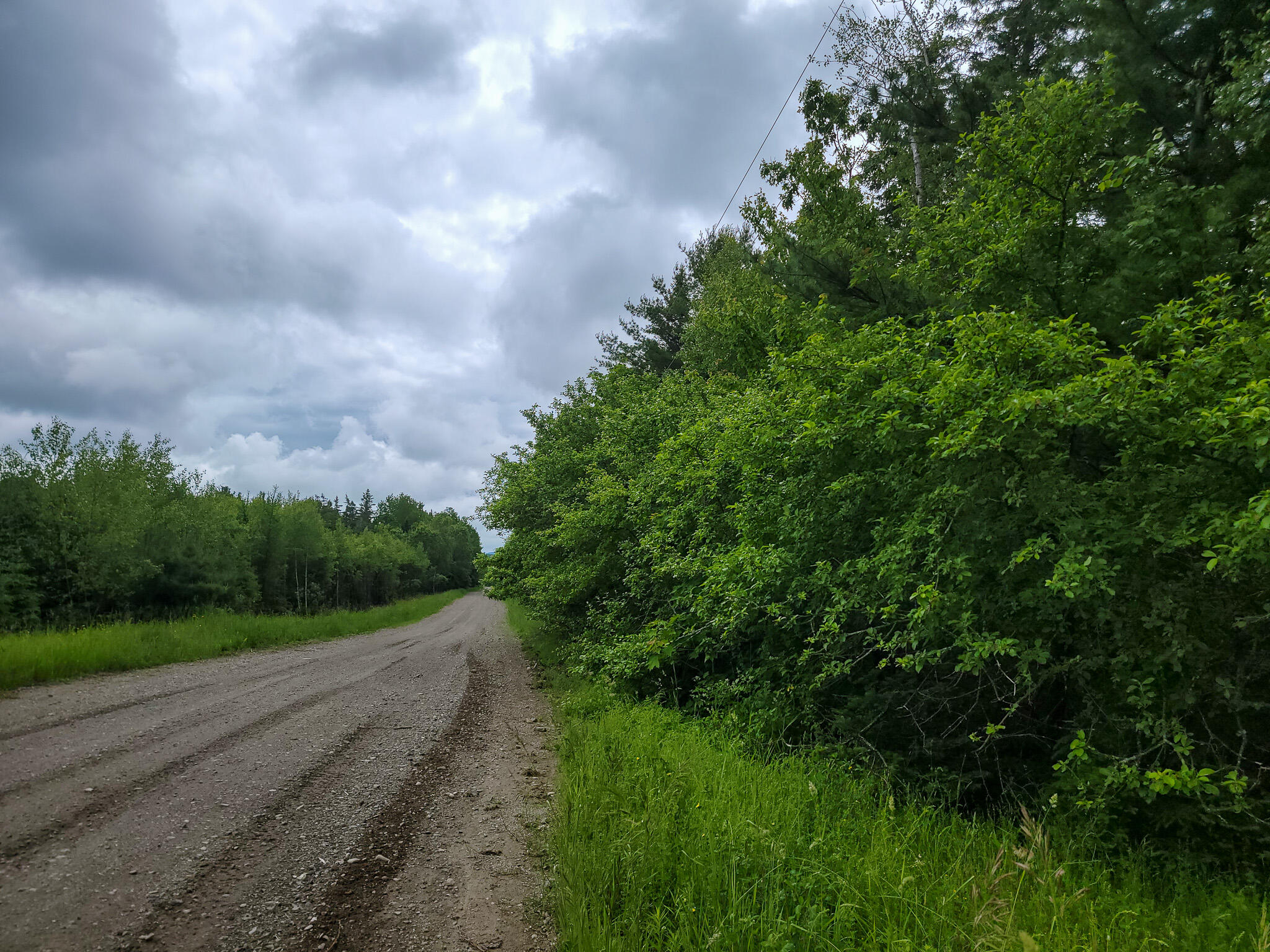 M7L5 Osgood Rd, Carroll Plt, ME 04487 - MLS 1616608 - Coldwell Banker