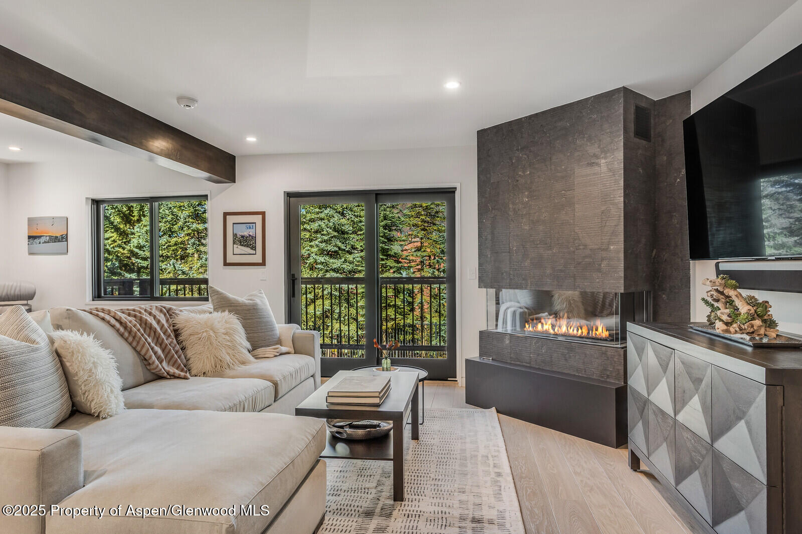 650 S Monarch St #Unit 7, Aspen, CO 81611 - MLS 190772 - Coldwell Banker
