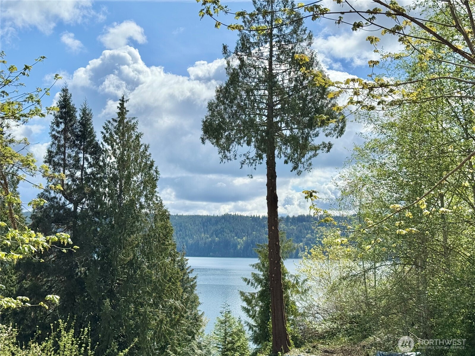 145 N Shar Ln, Lilliwaup, WA 98555 - MLS 2363851 - Coldwell Banker