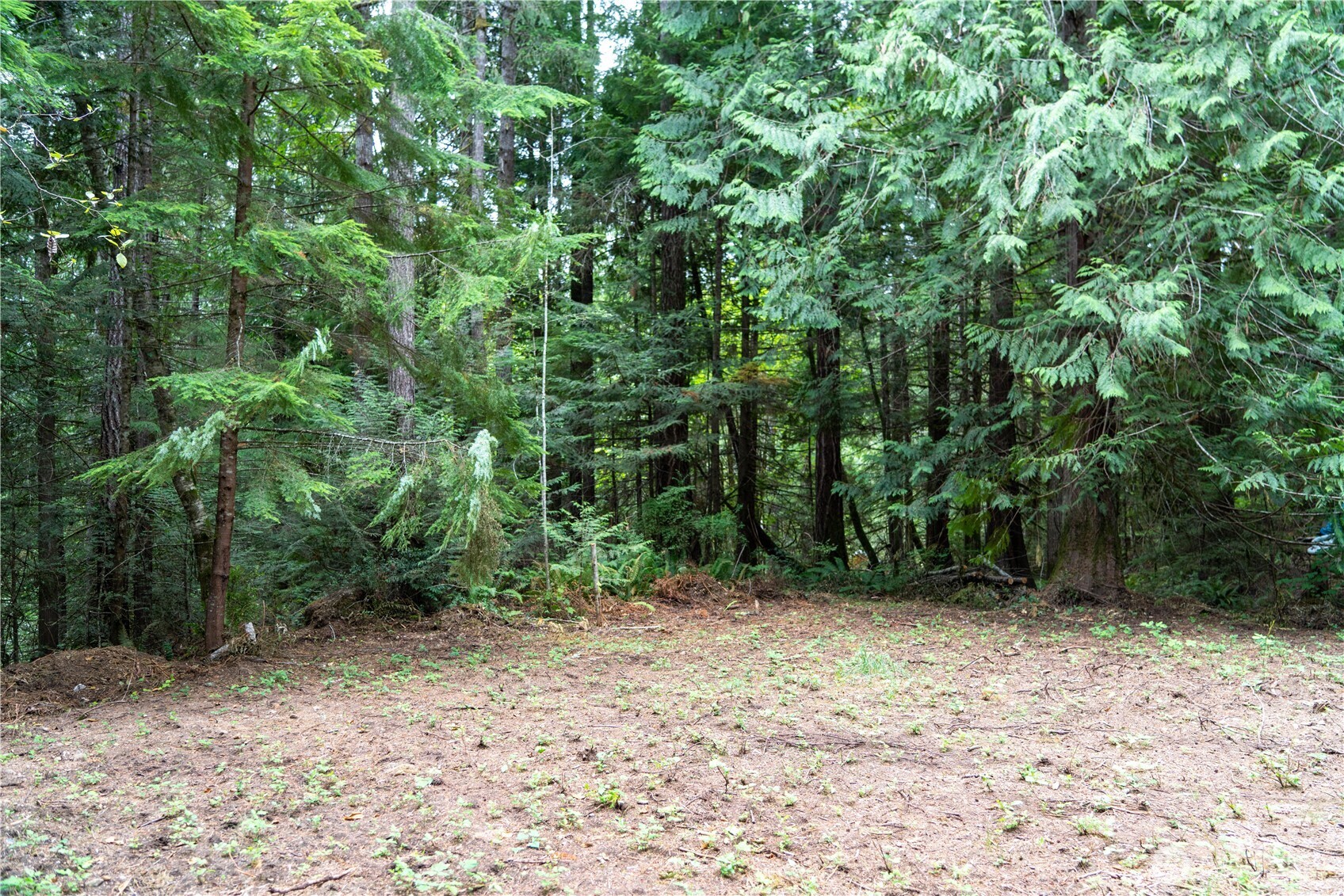 51 N Trail Head Loop, Lilliwaup, WA 98555 - MLS 2364667 - Coldwell Banker