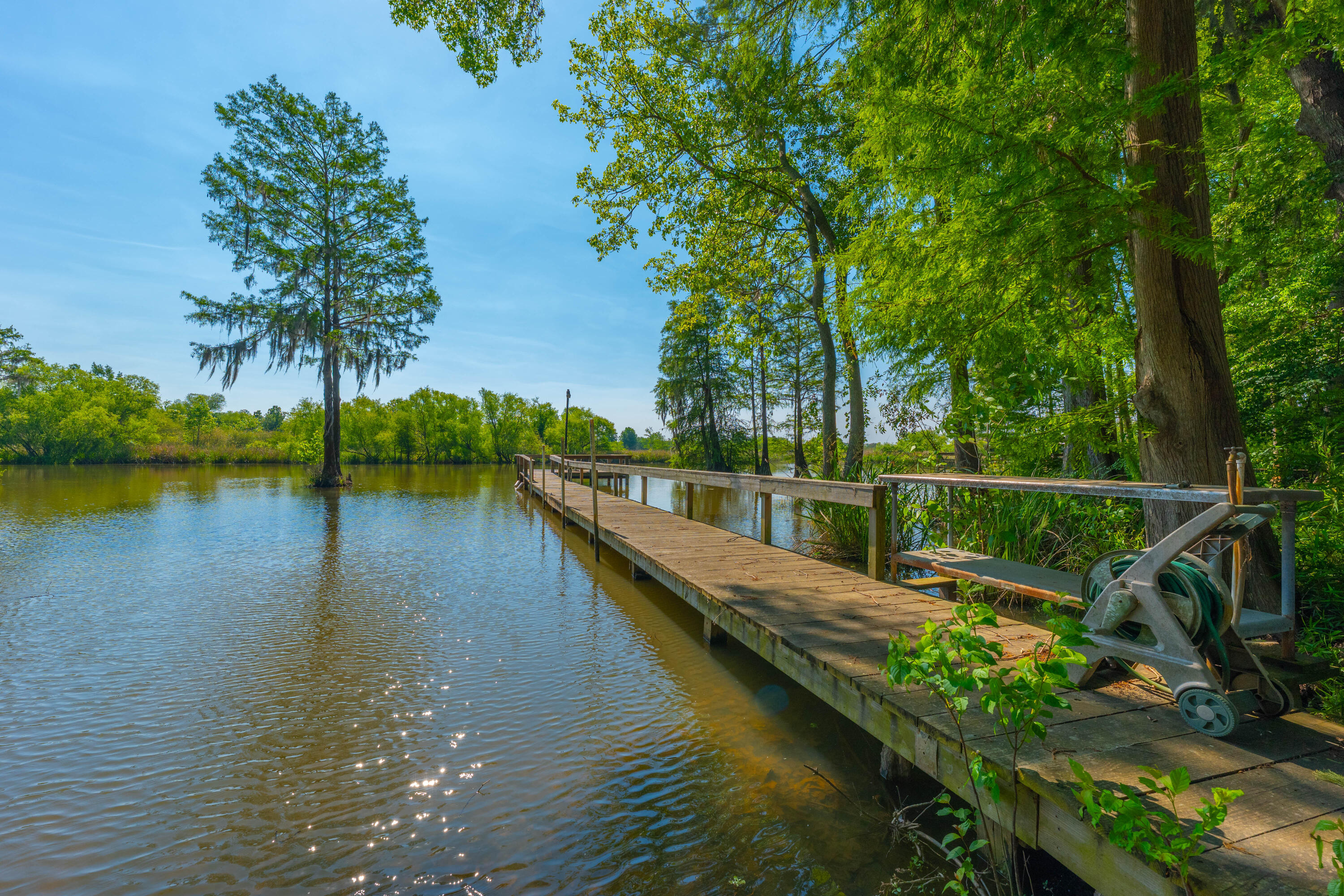 141 Stoudenmire Dr, Cameron, SC 29030 - MLS 25011733 - Coldwell Banker