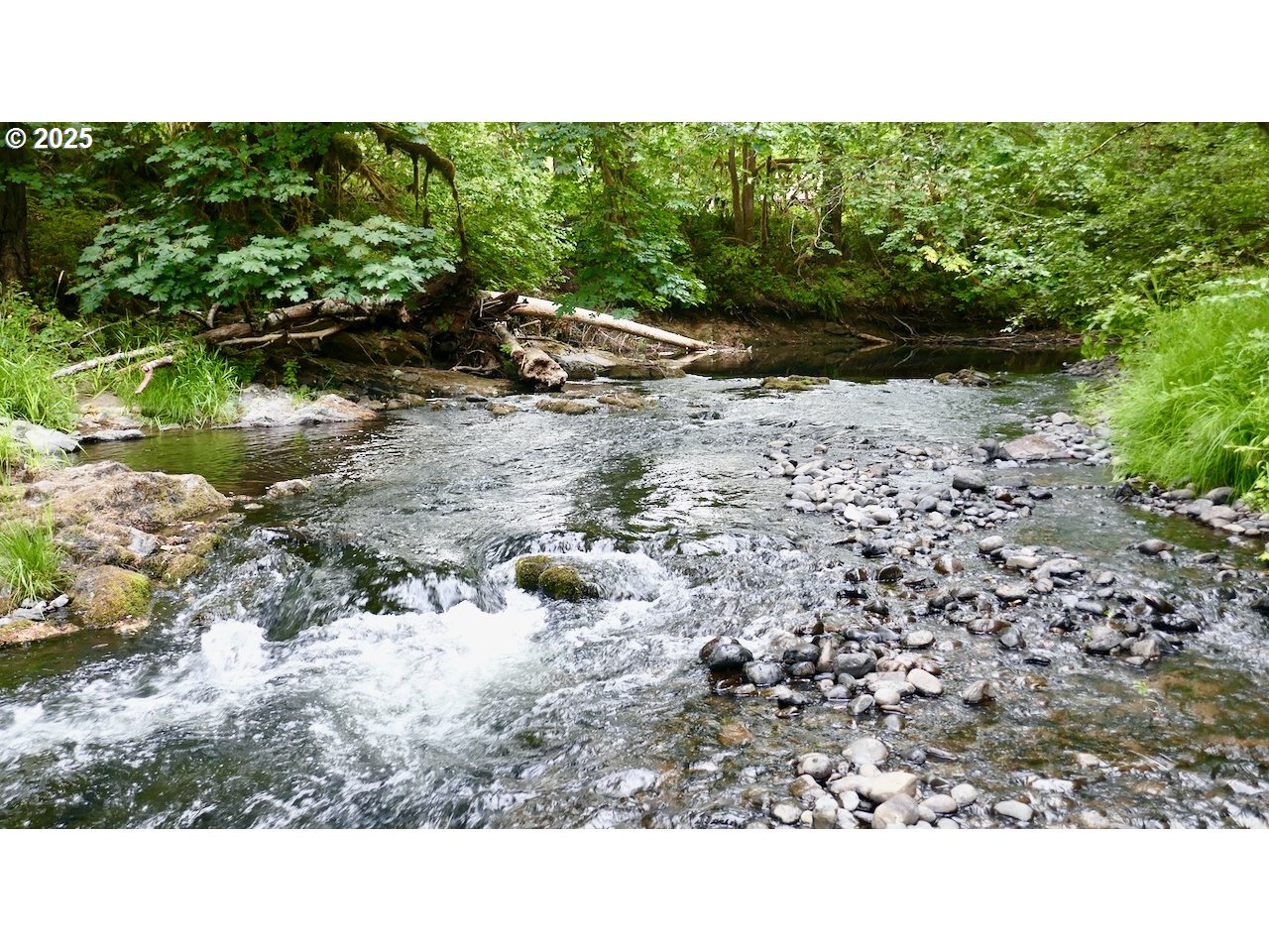 93933 Marcola Rd, Marcola, OR 97454 - MLS 203618356 - Coldwell Banker