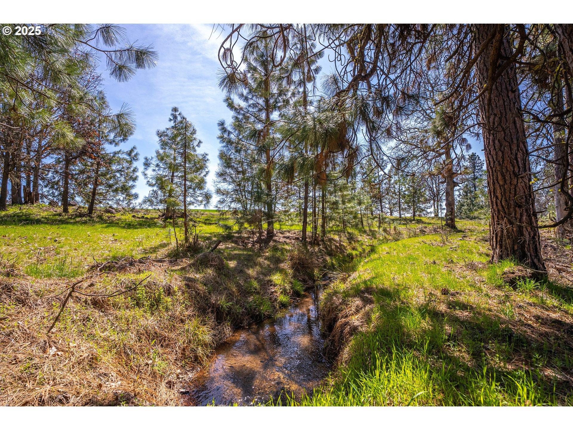 10 Outback Rd, Goldendale, WA 98620 - MLS 282808205 - Coldwell Banker