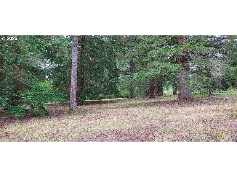27111 S Hillockburn Rd, Estacada, OR 97023 - MLS 615589706 - Coldwell ...