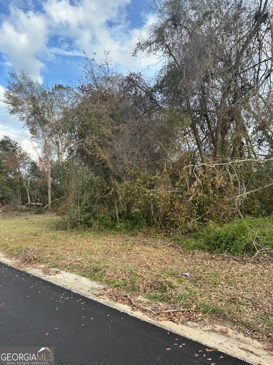 Lt 16 Loop Rd, Denton, GA 31532 - MLS 10505222 - Coldwell Banker