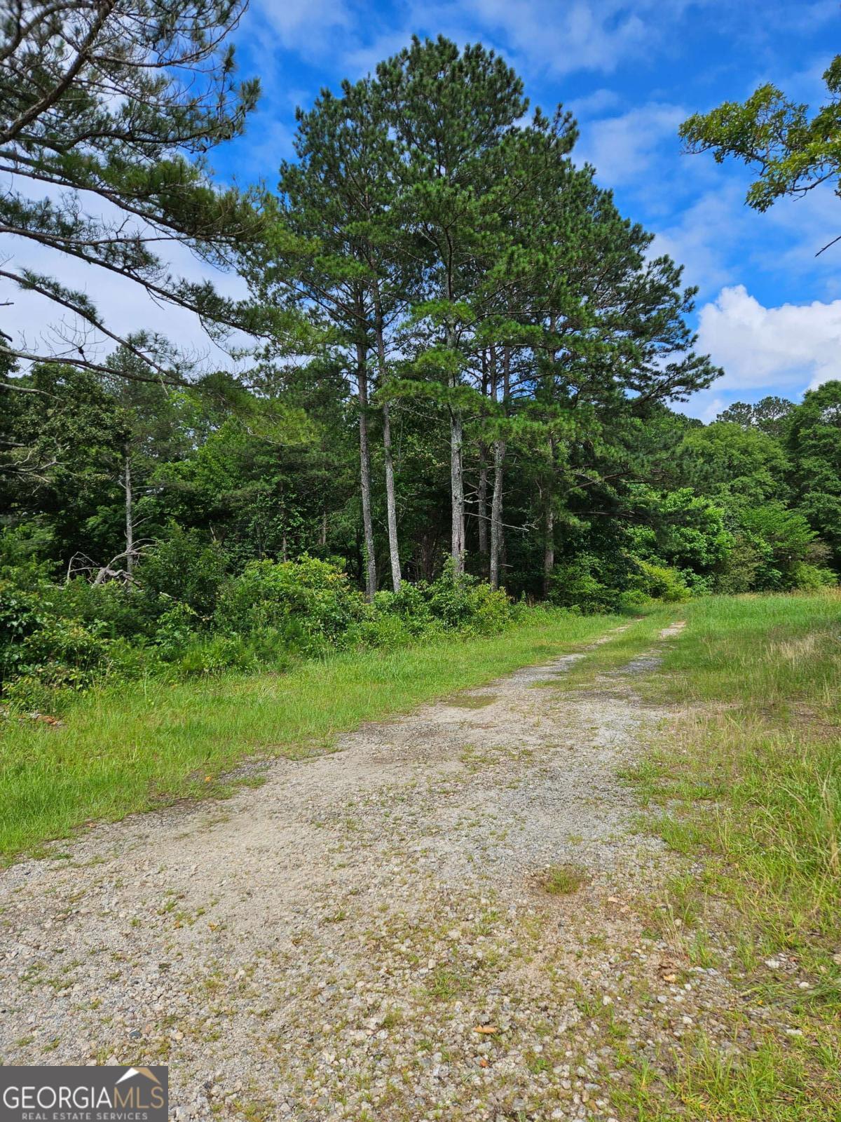 2539 Locust Grove Rd, Griffin, GA 30223 - MLS 10540774 - Coldwell Banker