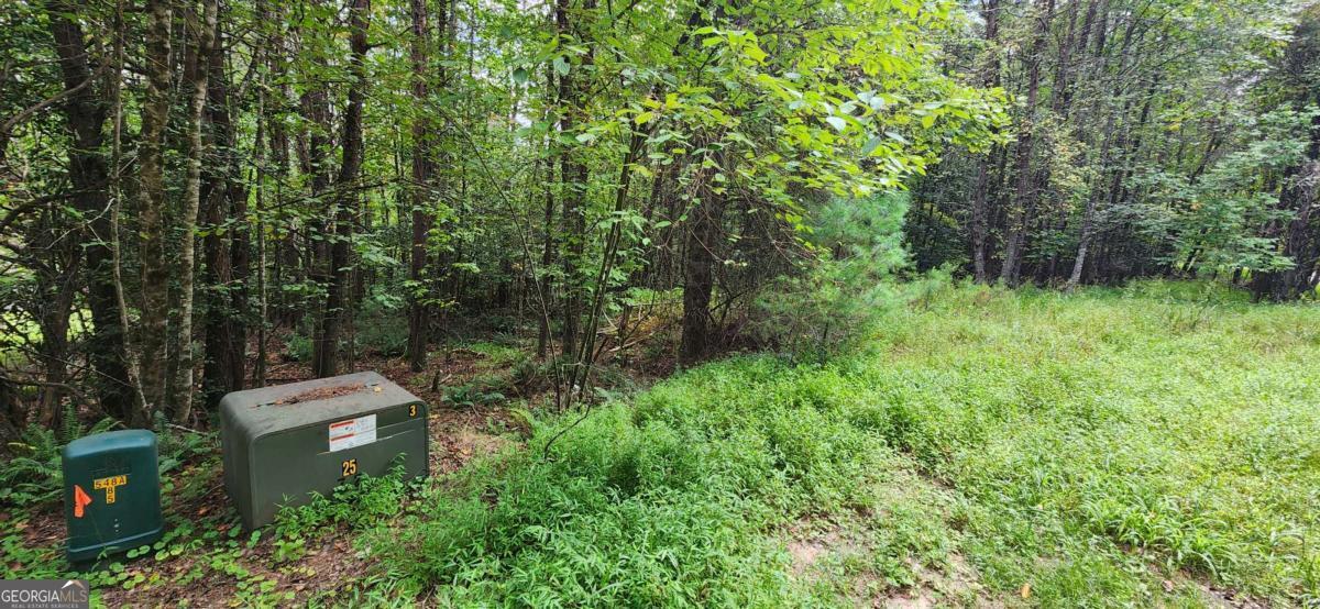 Lot 45 Old Mill Pond Rd, Mineral Bluff, GA 30559 - MLS 10603347 ...