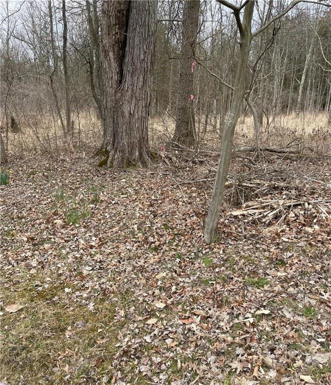 Bushkill Center Rd, Bushkill Twp, PA 18064 - MLS 714116 - Coldwell Banker Bushkill Center Rd, Bushkill Twp, PA 18064 - MLS 714116 - Coldwell Banker