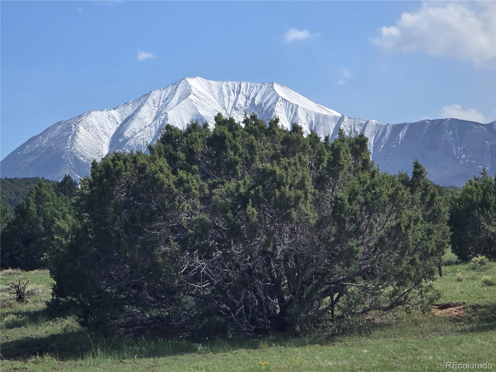 90 River Ridge Ranch, Walsenburg, CO 81089 - MLS 3023451 - Coldwell Banker