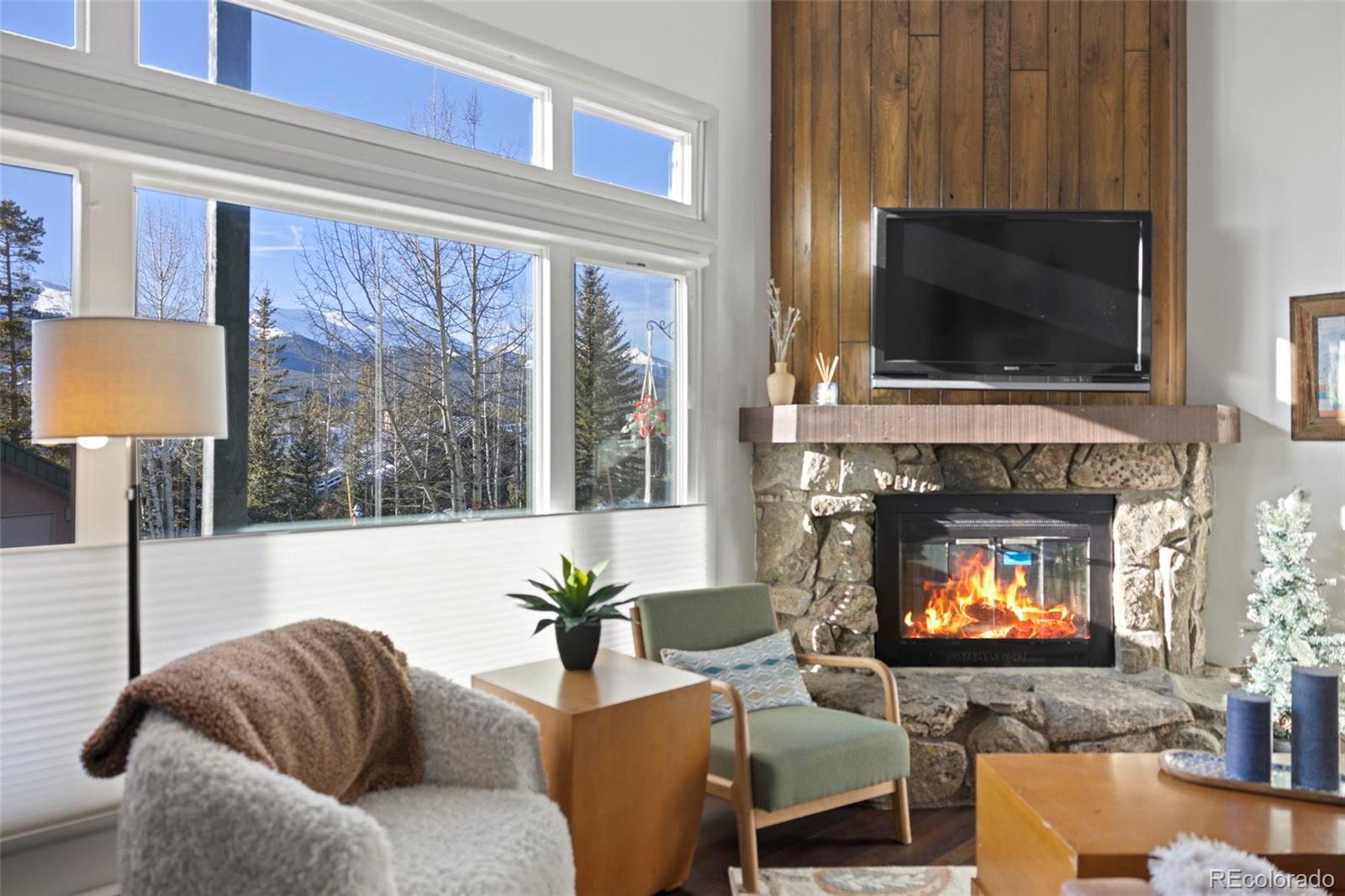 100 N Gold Flake Terrace #A, Breckenridge, CO 80424 - MLS 3073409 ...