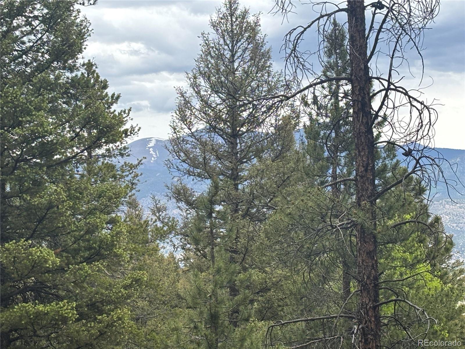 30304 Aspen Turn, Buena Vista, CO 81211 - MLS 3215152 - Coldwell Banker