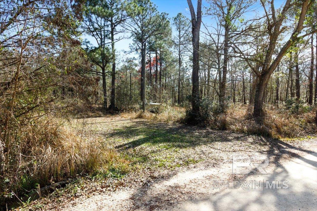 16045 Williams Rd, Coden, AL 36523 - MLS 374772 - Coldwell Banker