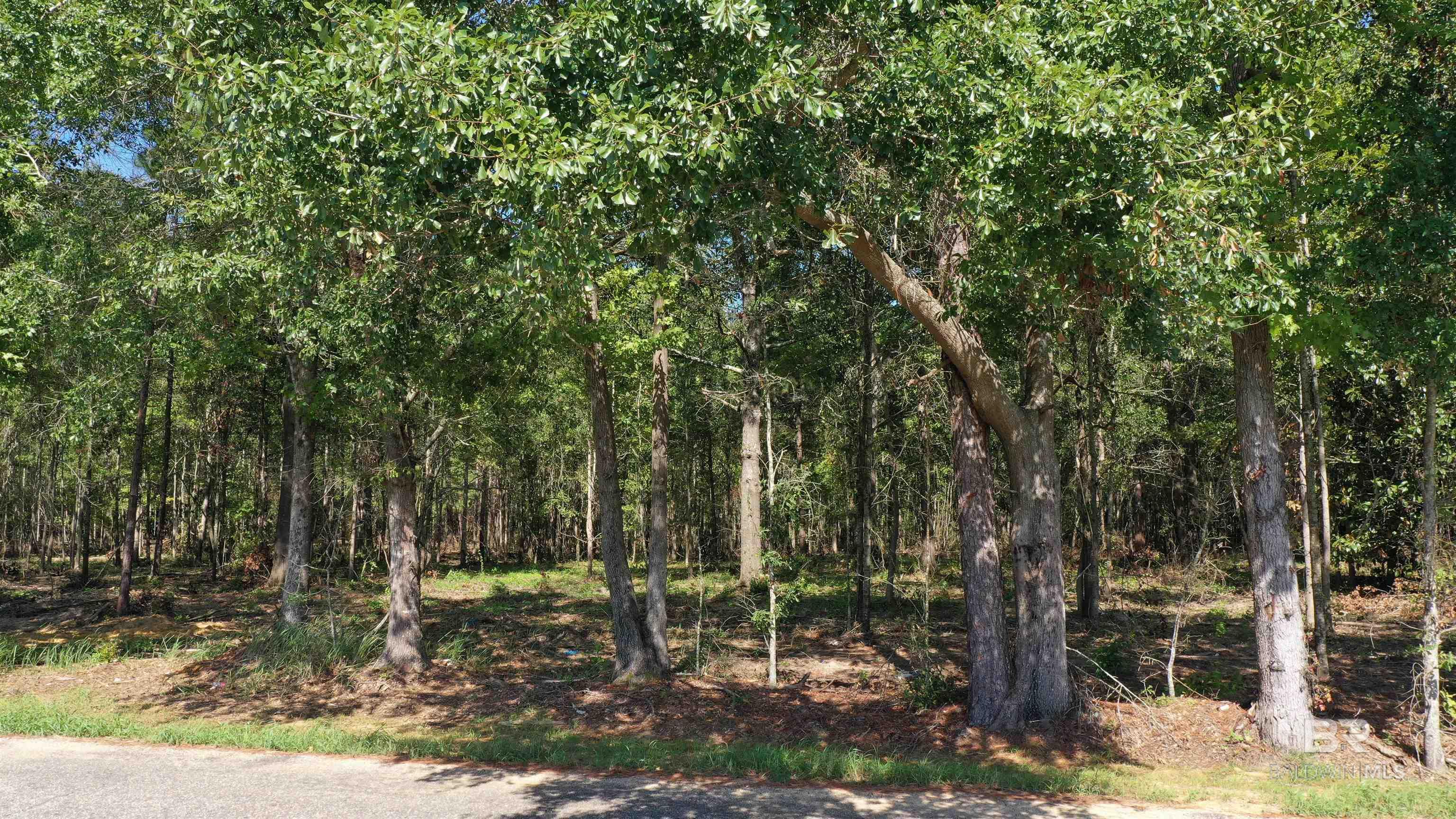Lot 5 Johnson Rd, Atmore, AL 36502 - MLS 377111 - Coldwell Banker