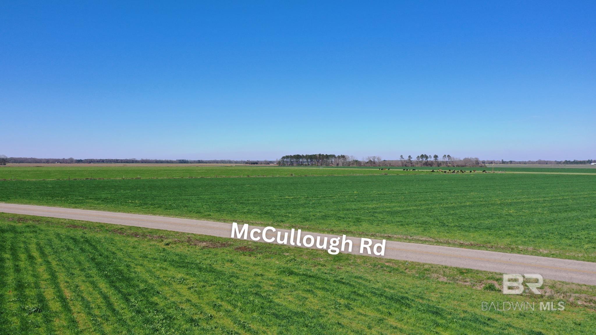 Lot 2A-1 McCullough Rd, Atmore, AL 36502 - MLS 375703 - Coldwell Banker