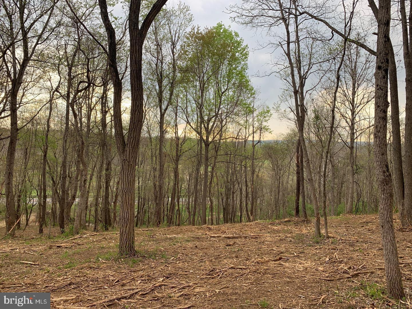 Winchester Rd, Delaplane, VA 20144 - MLS VAFQ2019696 - Coldwell Banker