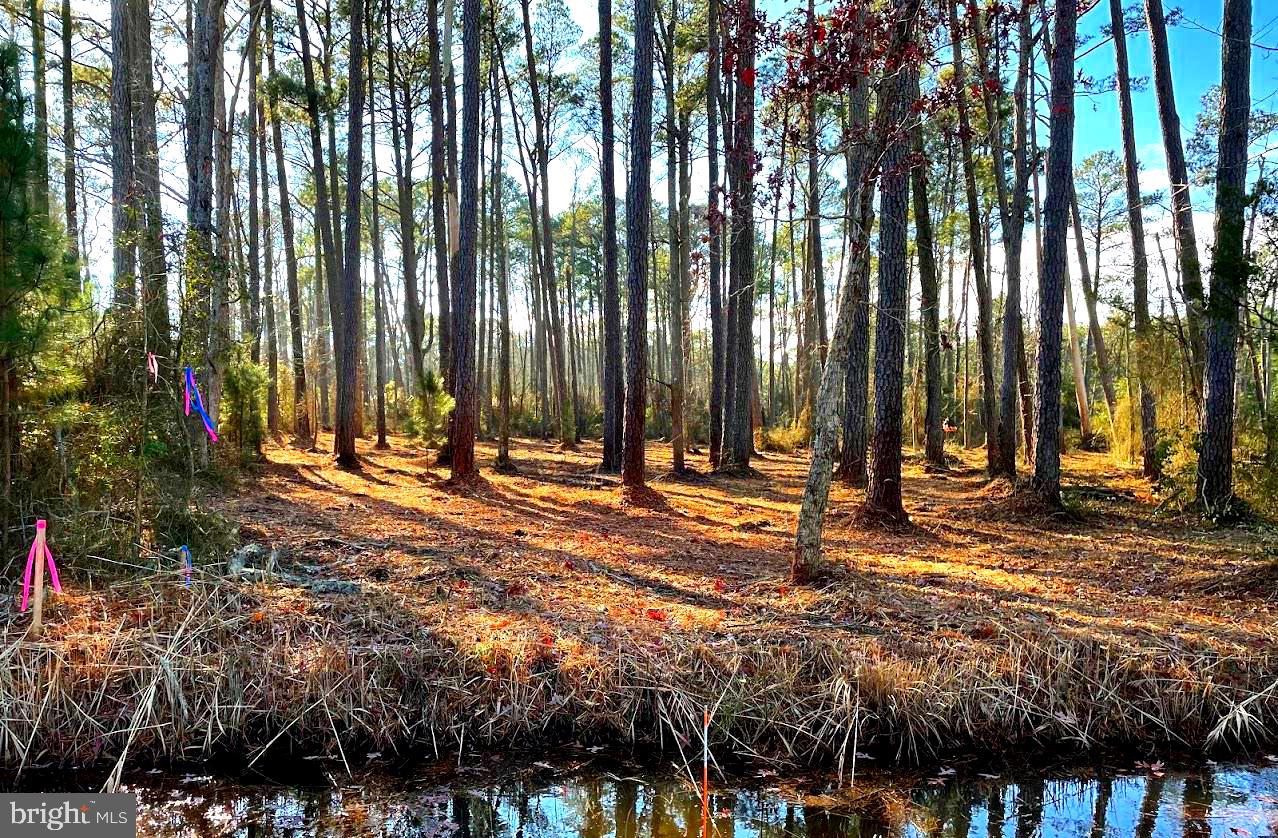 Lot 5 Nevette Muir Rd, Westover, MD 21871 - MLS MDSO2006496 - Coldwell ...