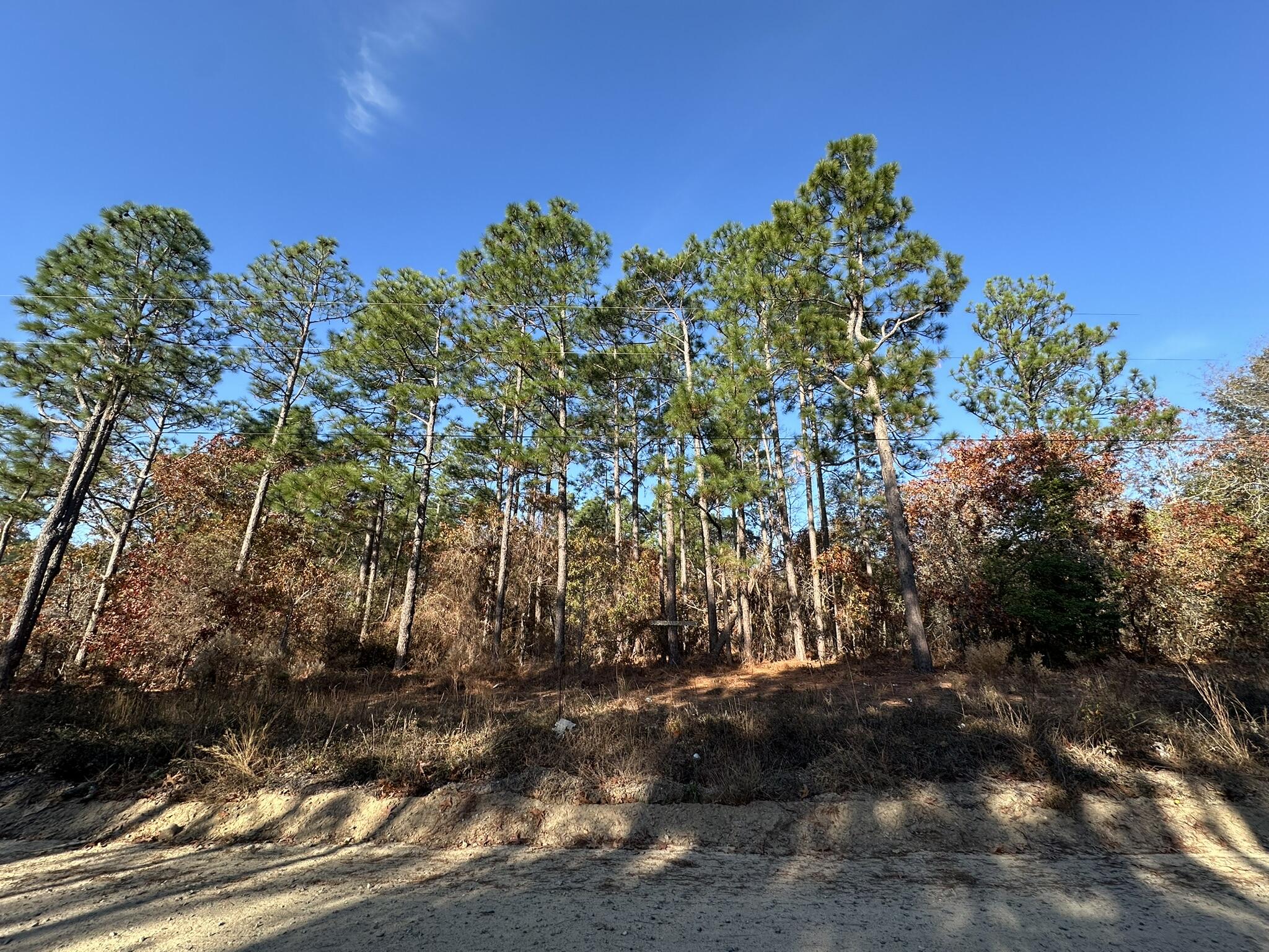 3054 Camp Josey Rd, Blythe, GA 30805 - MLS 549682 - Coldwell Banker