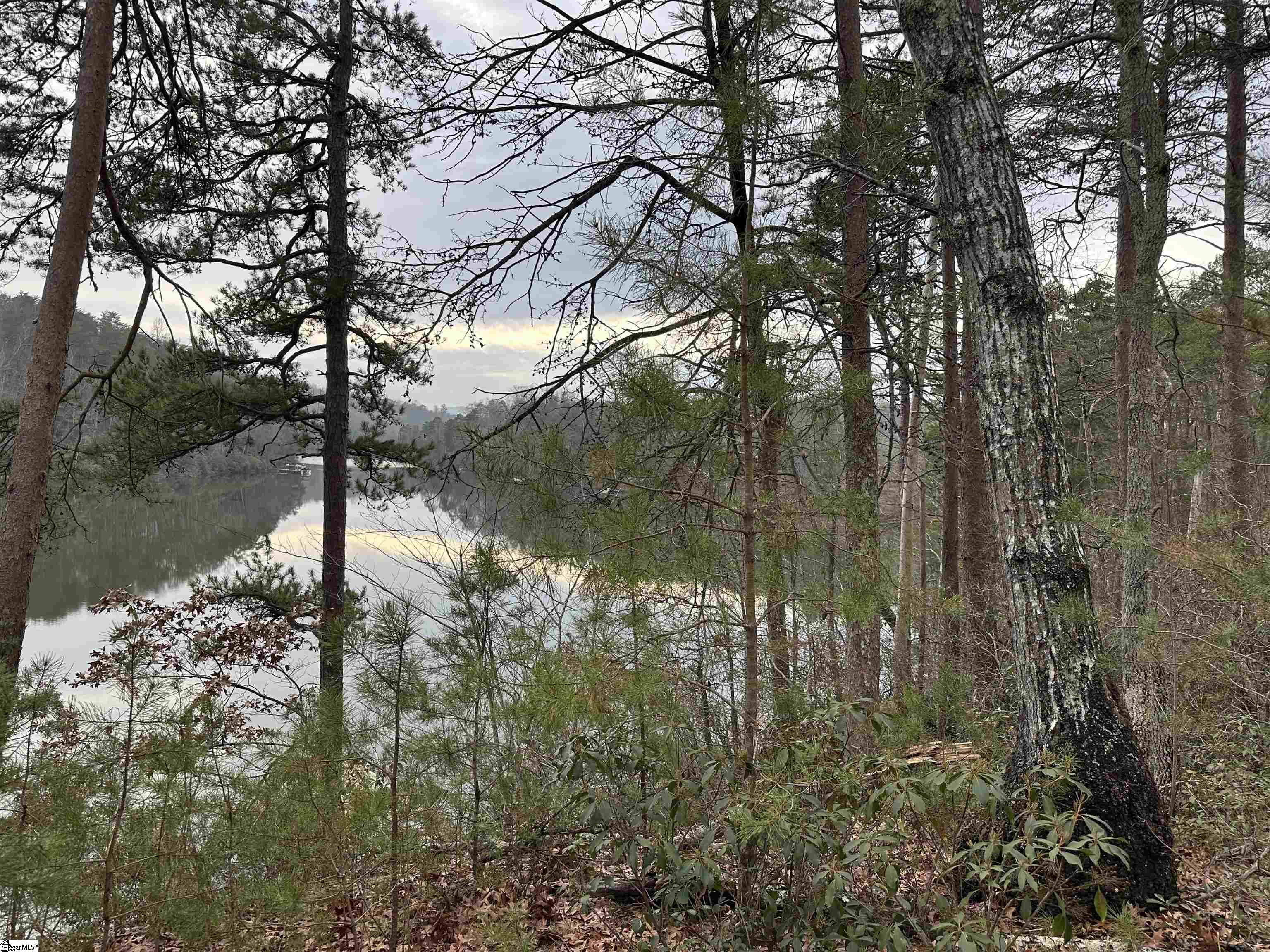 00 Jackson Cove Rd #Lot 2, Mill Spring, NC 28756 - MLS 1577528 ...