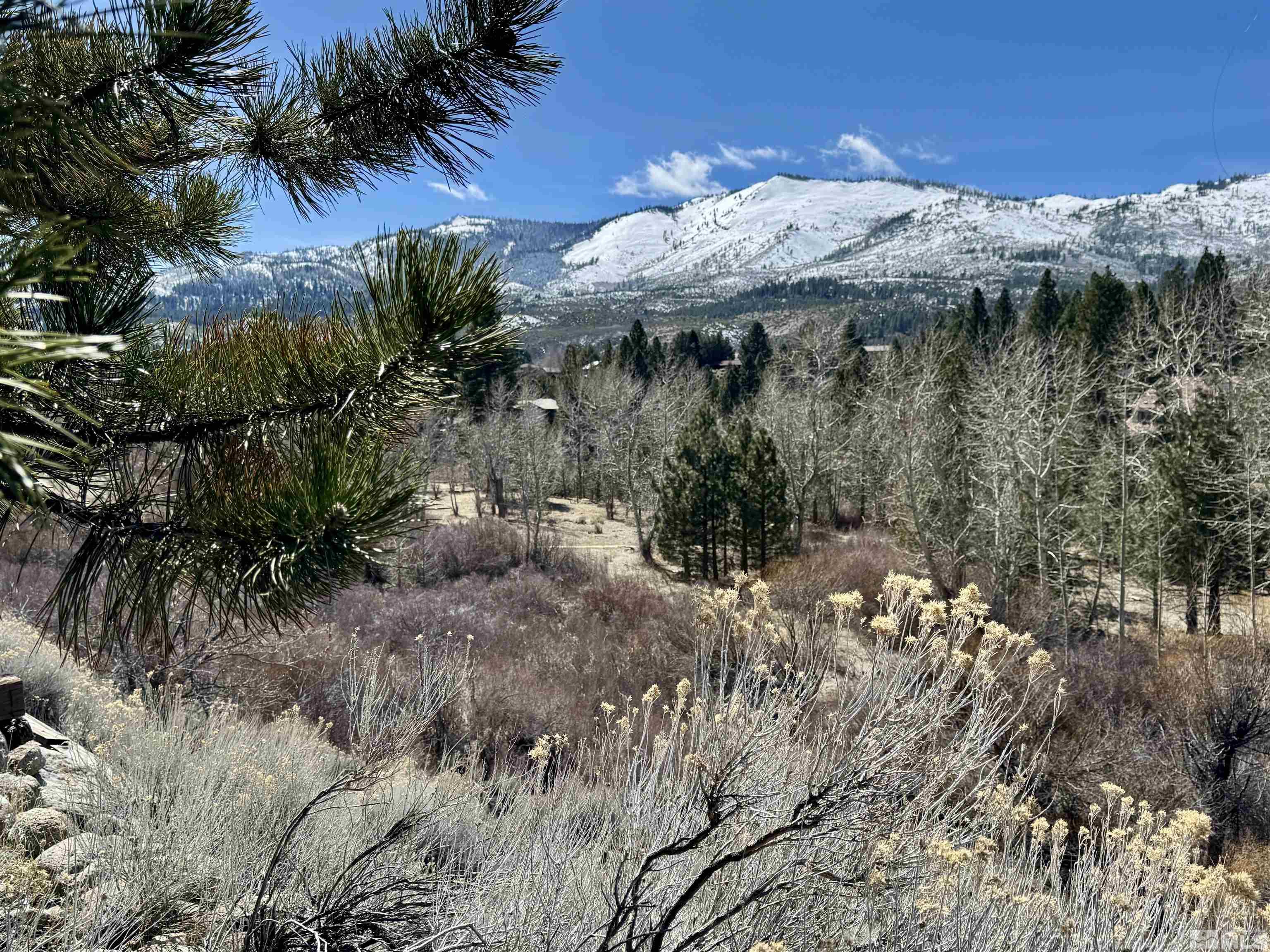 185 Lakeview Dr, Verdi, NV 89439 - MLS 250003482 - Coldwell Banker
