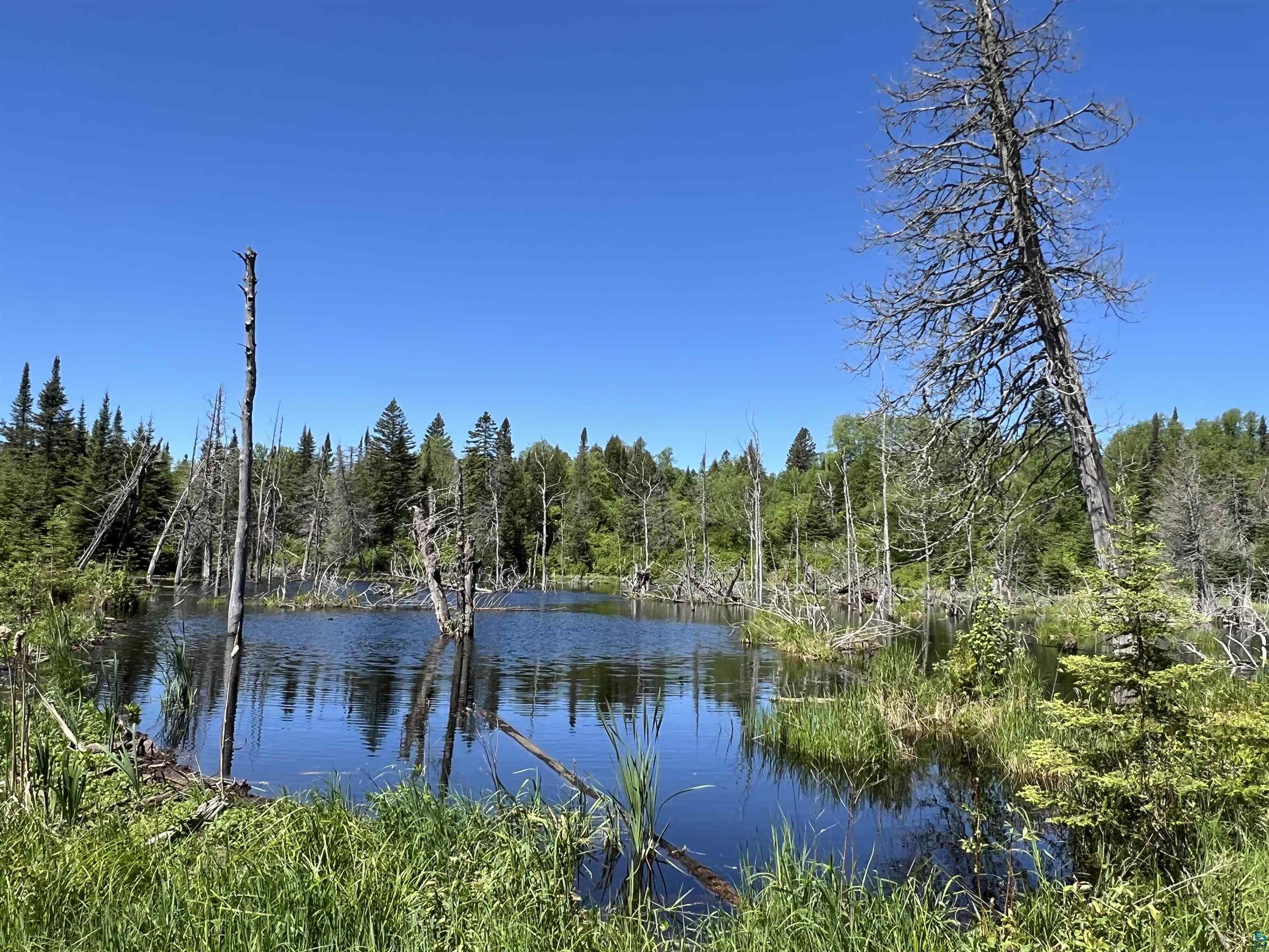 Xxx1 Heffelfinger Trail, Finland, MN 55614 - MLS 6114420 - Coldwell Banker