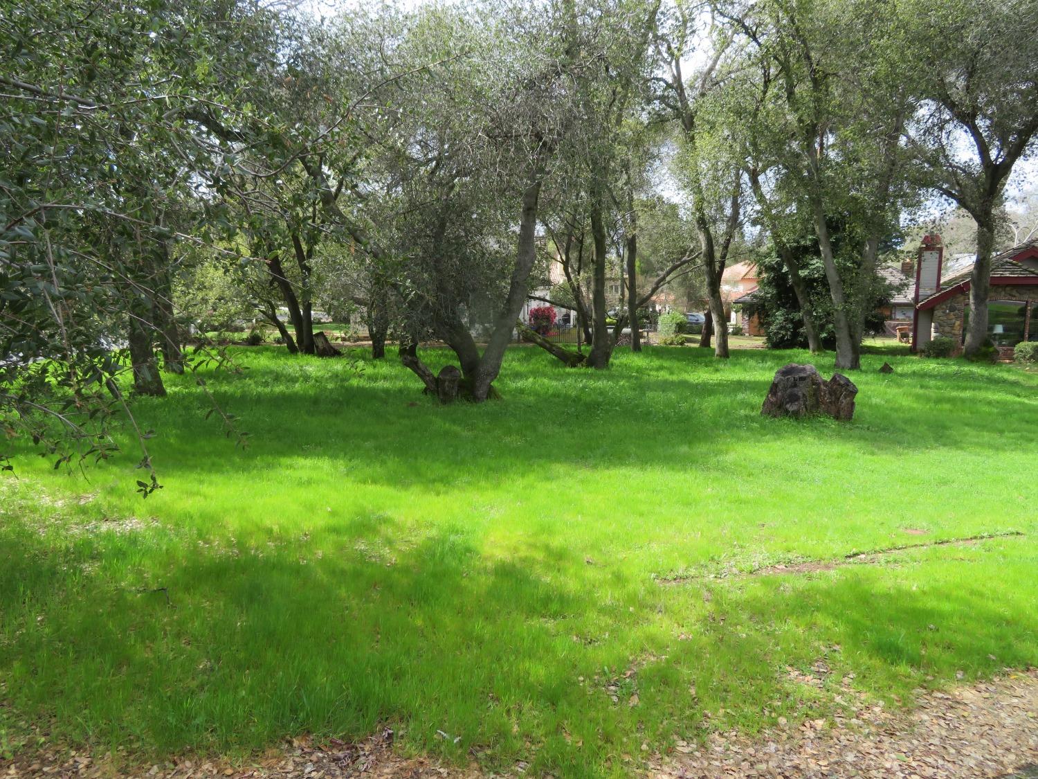 6500 Via Del Cerrito, Sloughhouse, CA 95683 - MLS 225024843 - Coldwell ...