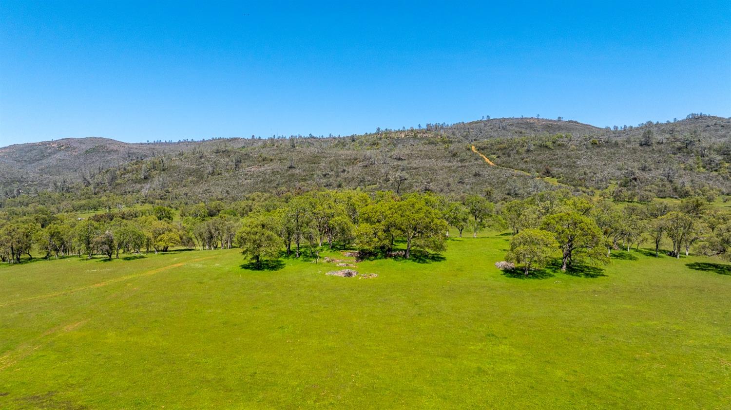 10777 Walker Trl Rd, Farmington, CA 95230 - MLS 225038062 - Coldwell Banker