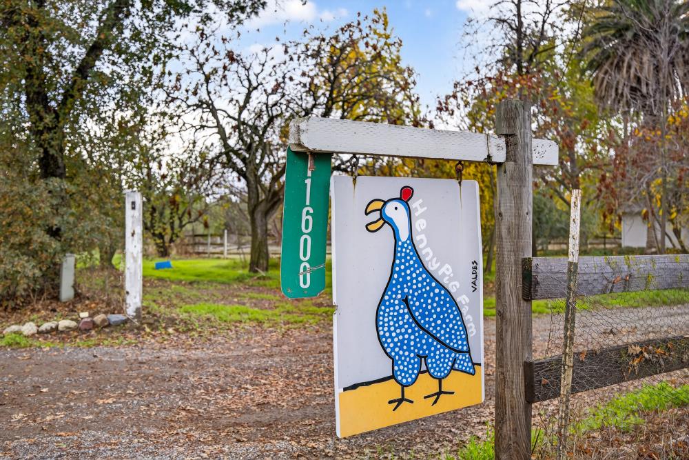 11600 State Hwy 16, Brooks, CA 95606 - MLS 225142973 - Coldwell Banker
