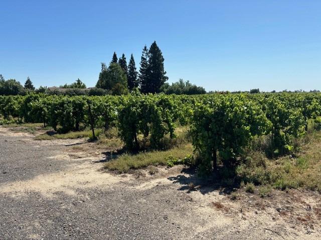 20283 N Kennefick Rd, Acampo, CA 95220 - MLS 224124824 - Coldwell Banker