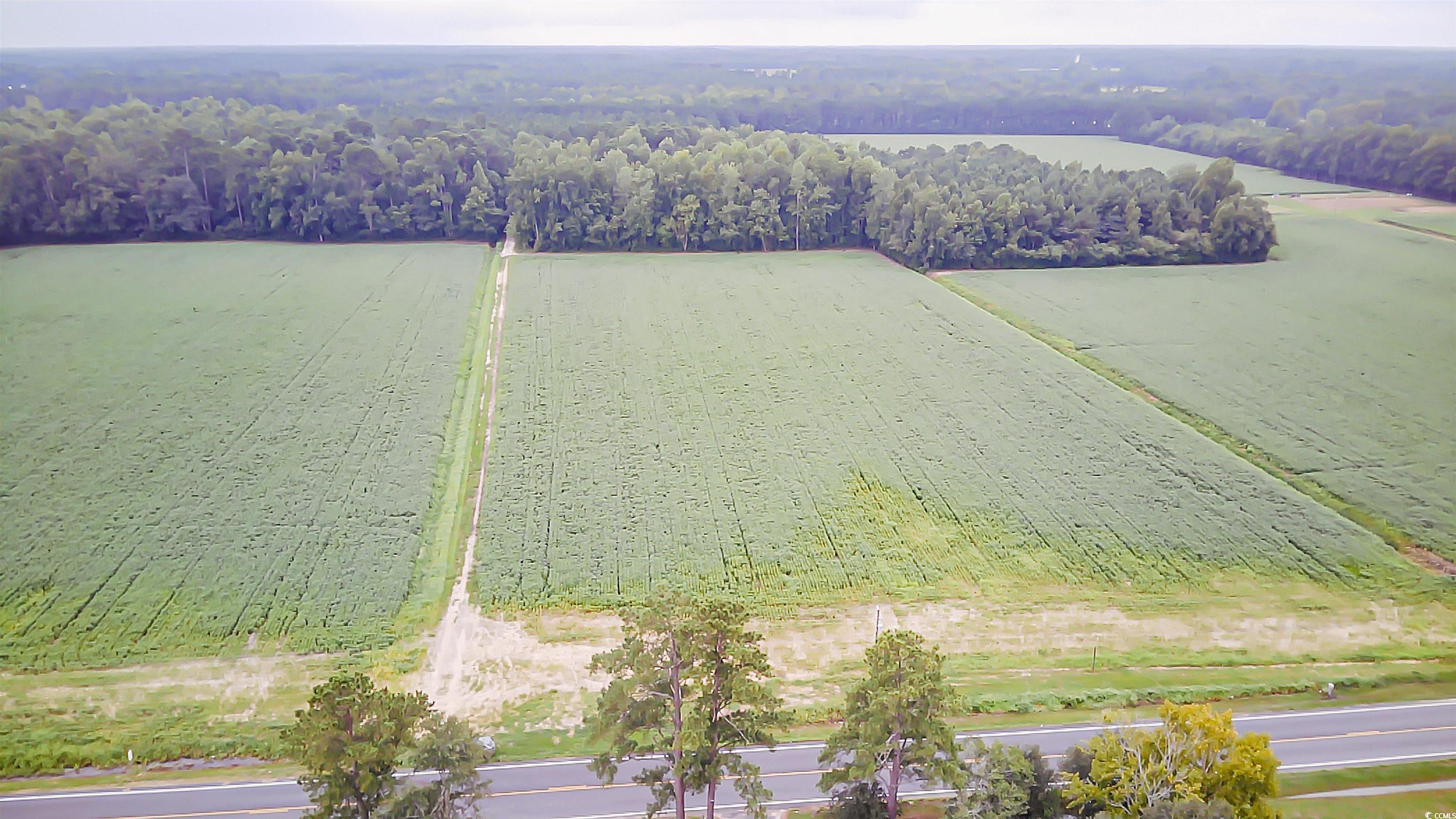 3684 Green Sea Rd, Green Sea, SC 29545 - MLS 2418821 - Coldwell Banker