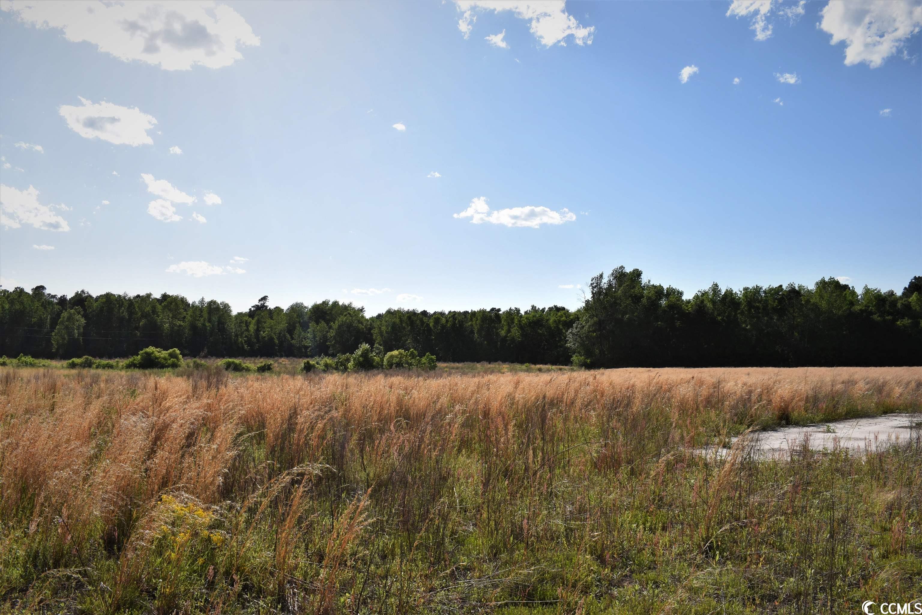 Tbd Jamie Rd, Aynor, SC 29511 - MLS 2310975 - Coldwell Banker