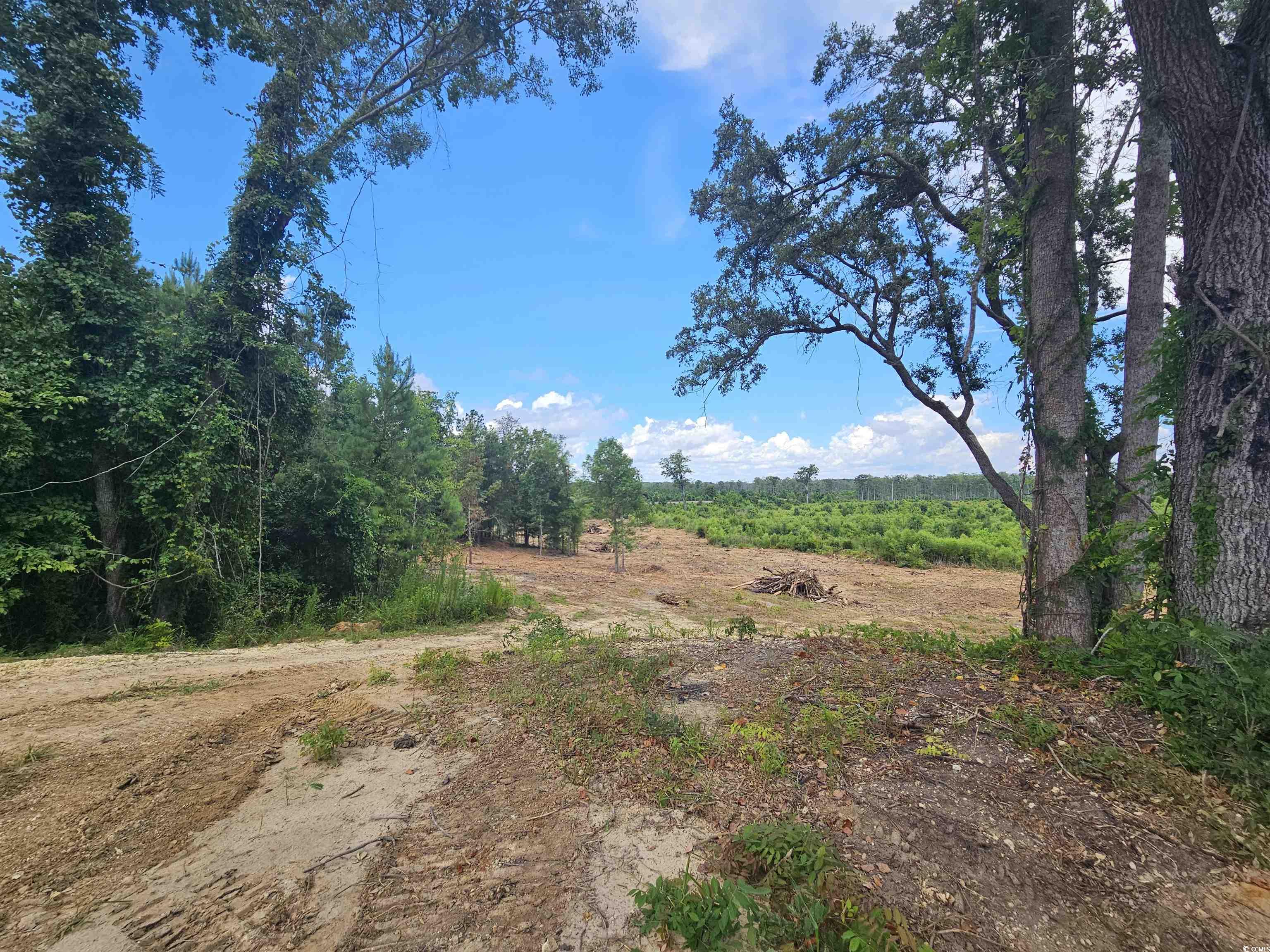 157 Mingo Chandler Rd, Nesmith, SC 29580 - MLS 2516409 - Coldwell Banker