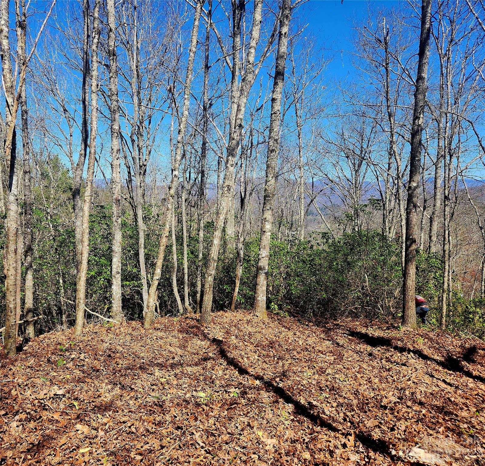 000 Cabin Ridge #L & M, Cullowhee, NC 28723 - MLS 4022326 - Coldwell Banker