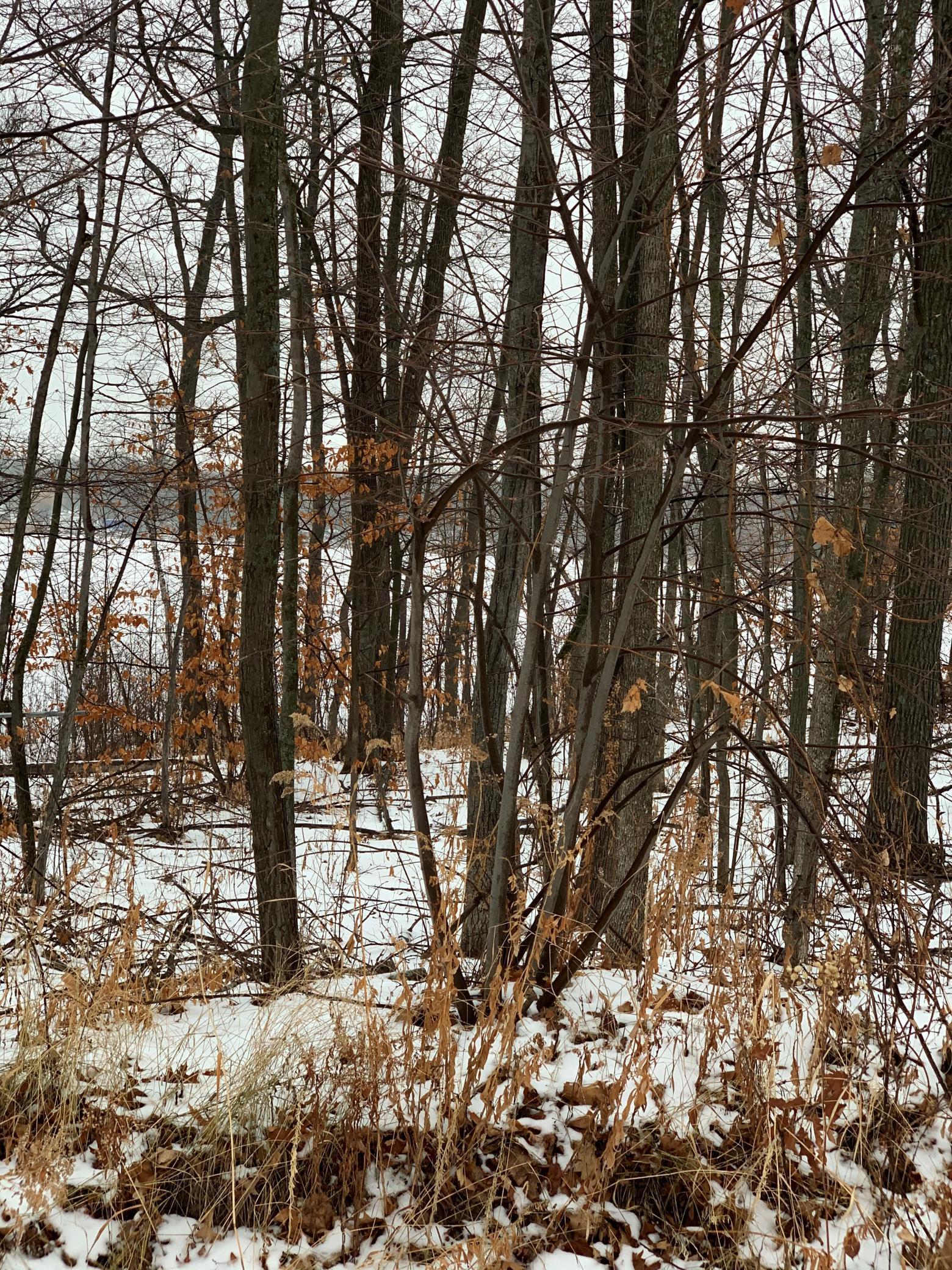 18Xxx Lot 23 Captive Lake Rd, Kathio Township, MN 56338 - MLS 6316372 ...