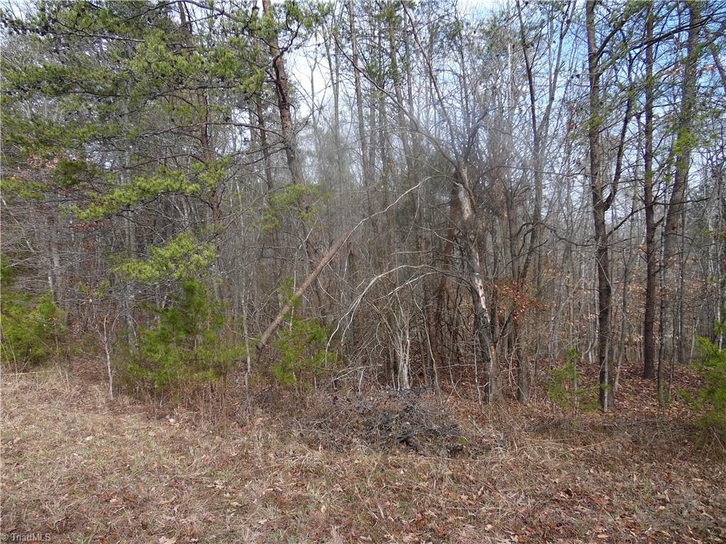 00 Mill Ridge Rd, Providence, NC 27325 - MLS 1093728 - Coldwell Banker