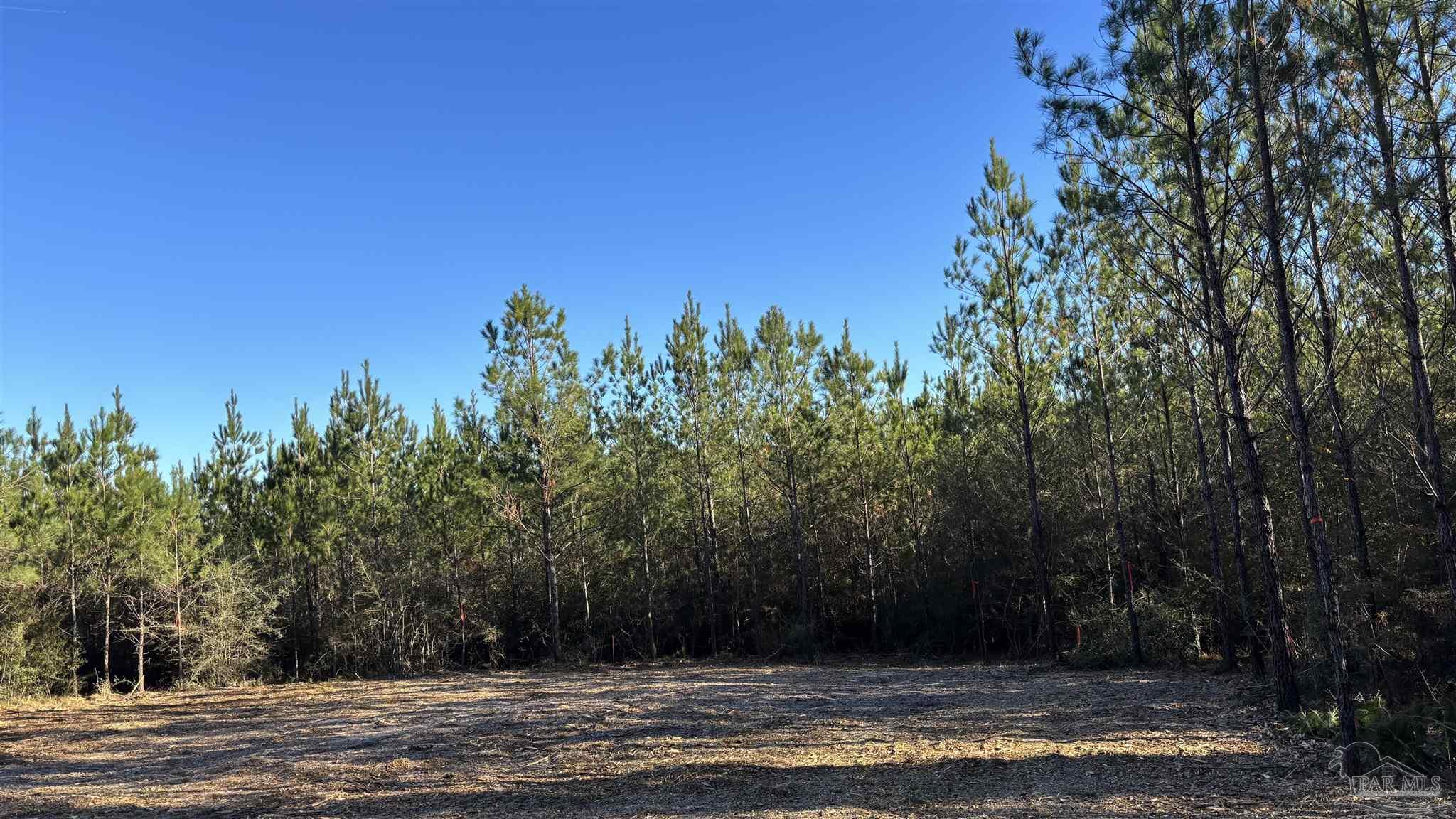 Lot 57 Straw Bridge Rd, Allentown, FL 32565 - MLS 675083 - Coldwell Banker