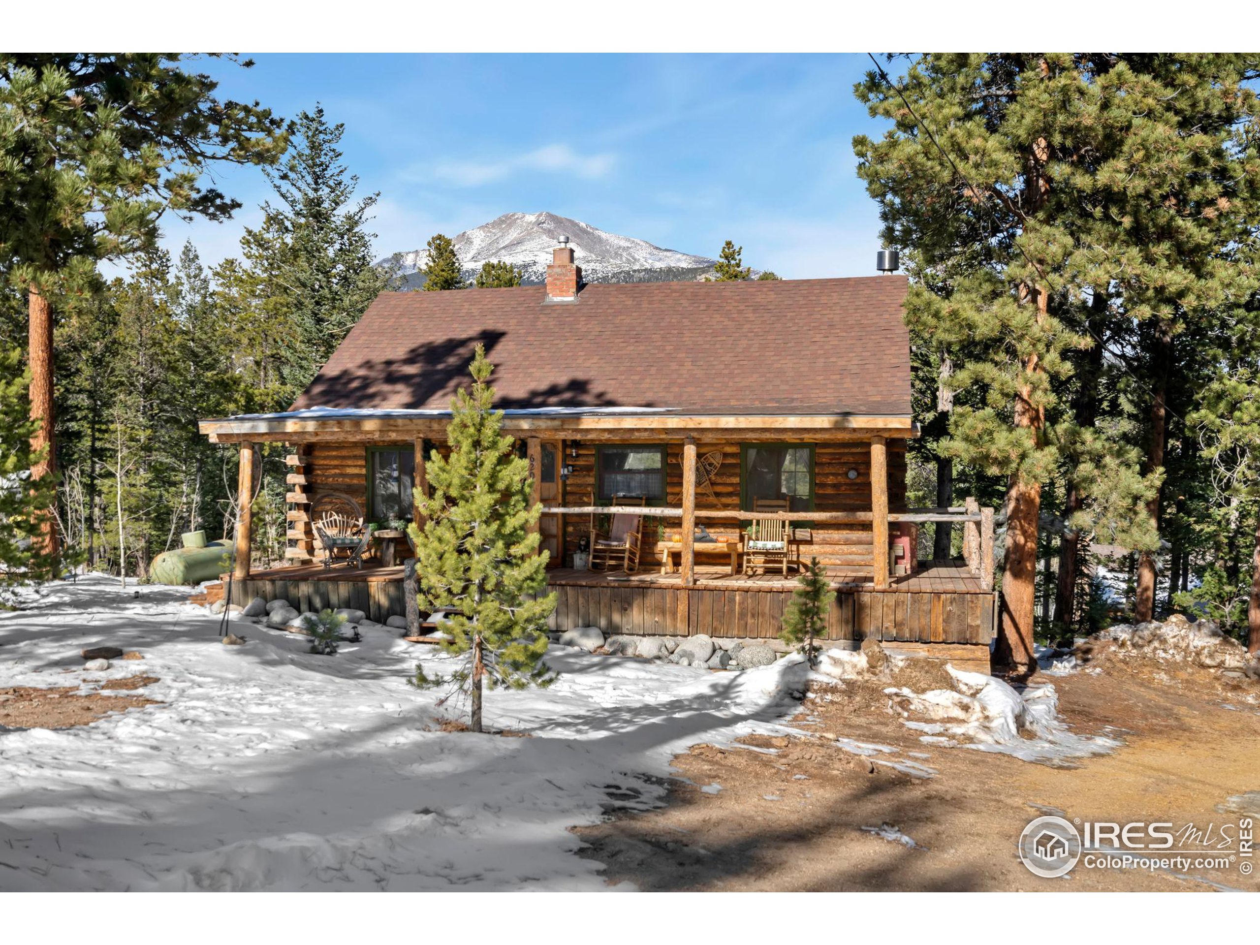 620 Co Rd 90, Allenspark, CO 80510 - MLS 1021266 - Coldwell Banker