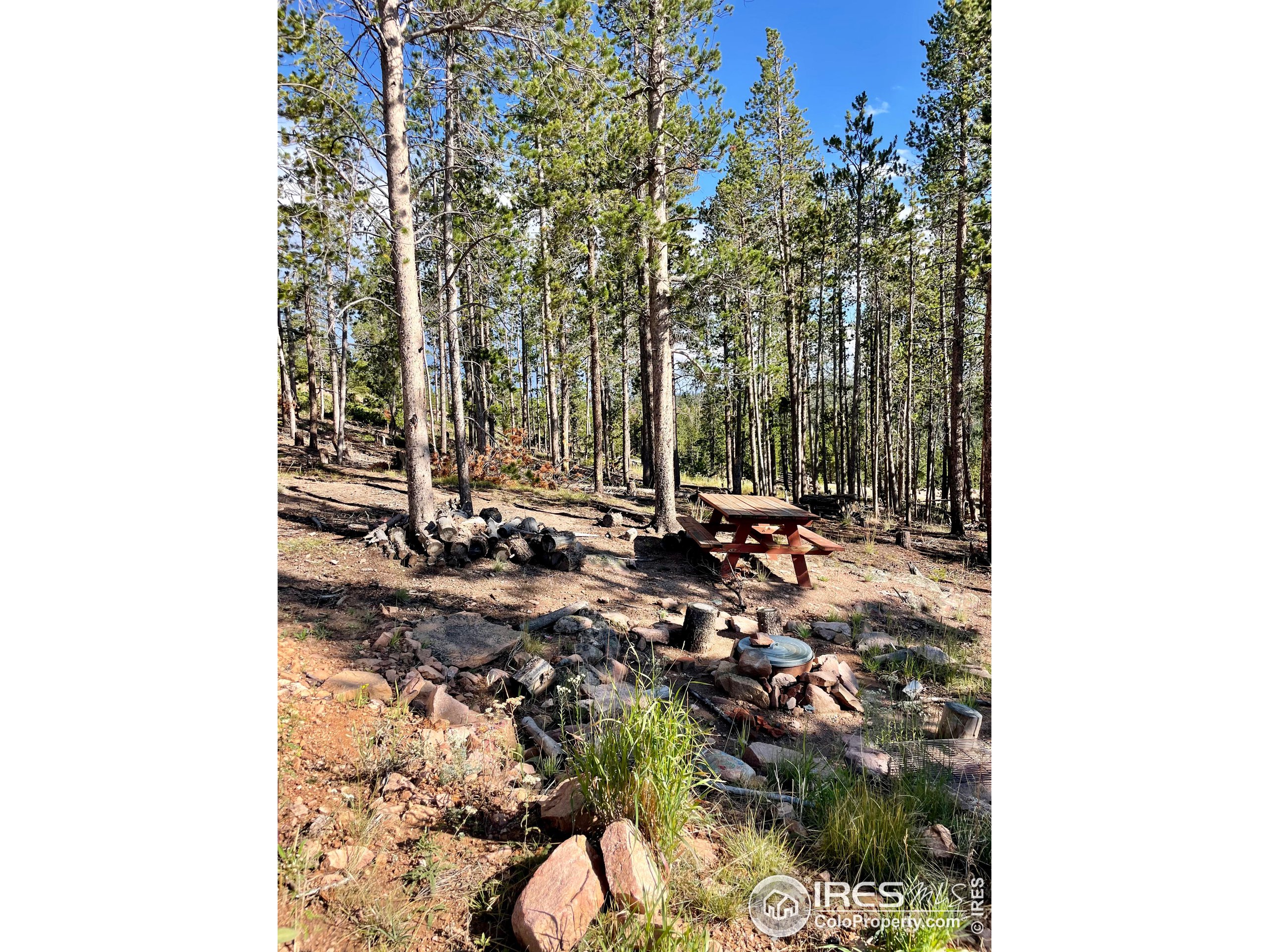 931 Micmac Dr, Red Feather Lakes, CO 80545 - MLS 974176 - Coldwell Banker