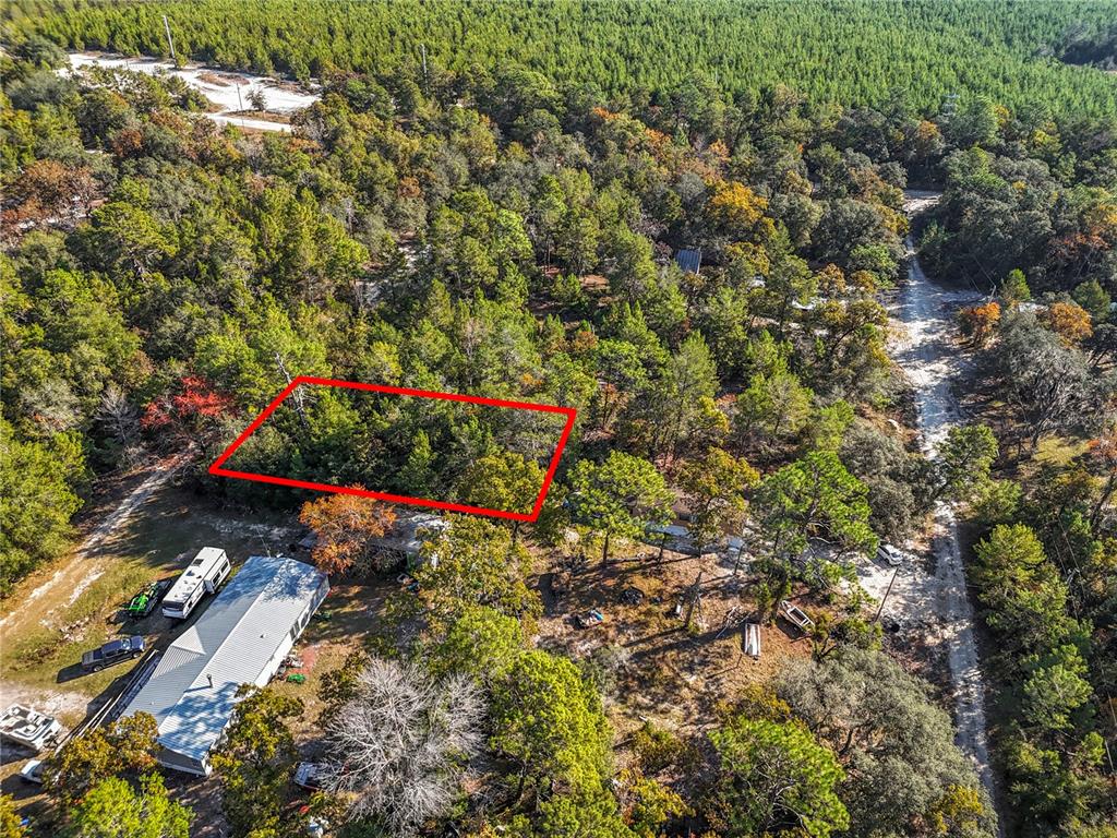 109 Lucas St, Satsuma, FL 32189 - MLS O6362435 - Coldwell Banker
